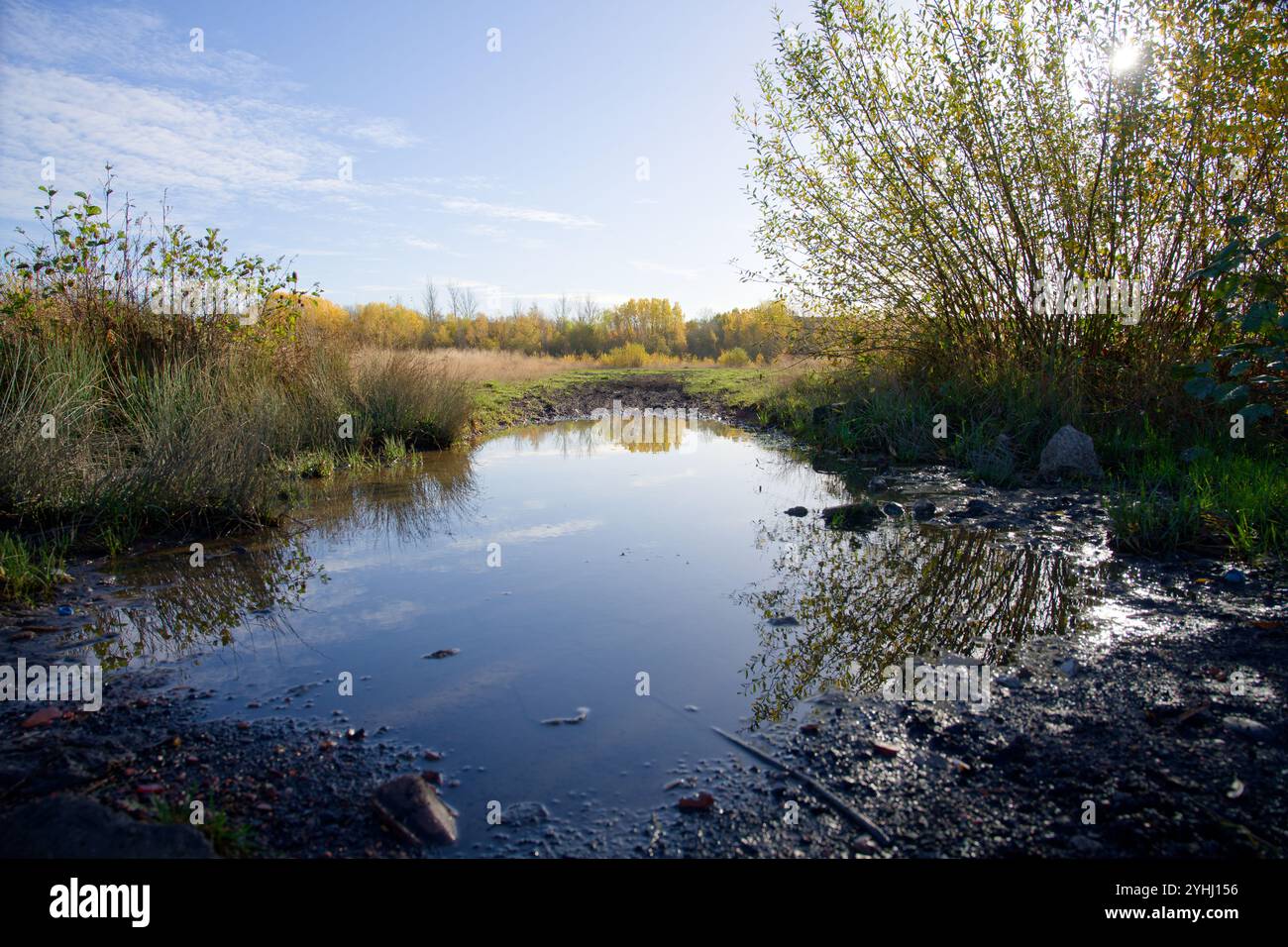 Clear sky reflected in a still water pool Stock Photo - Alamy