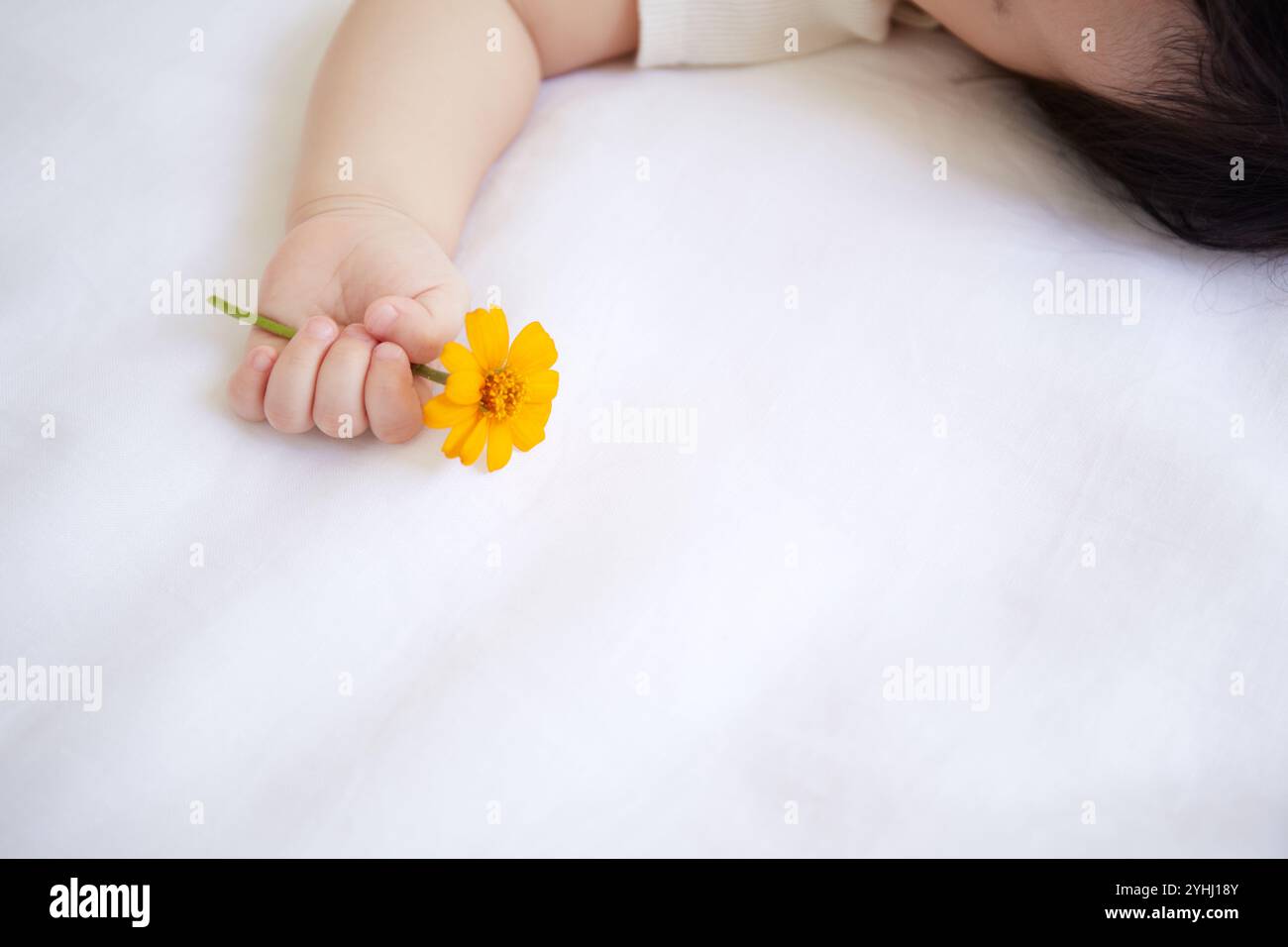 Child hand one flower hi-res stock photography and images - Alamy