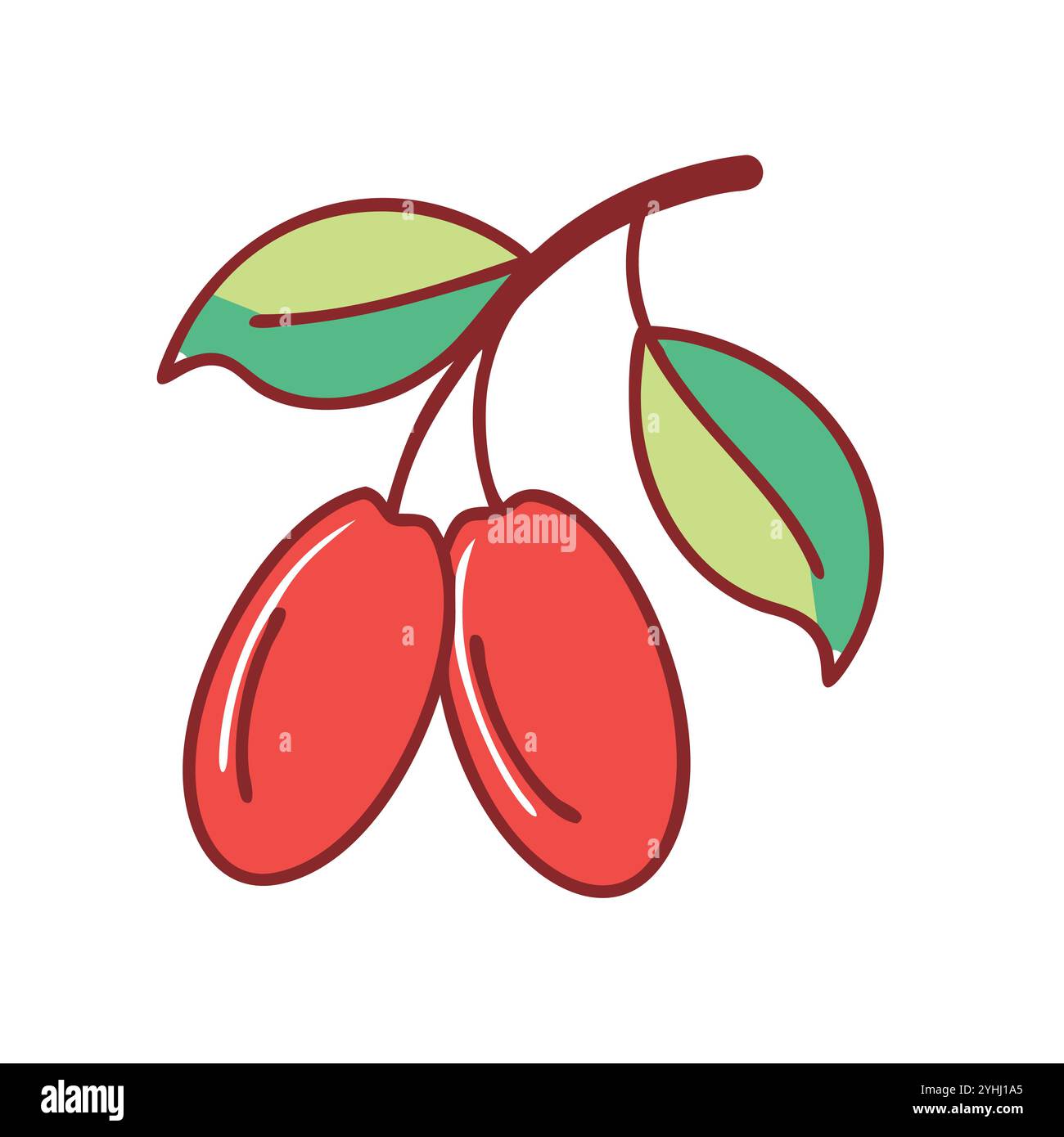 simple vector illustration of a miracle fruit, in a simple and clean ...