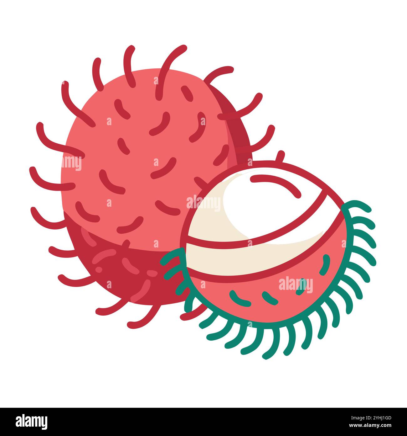 simple vector illustration of a rambutan, in a simple and clean style ...