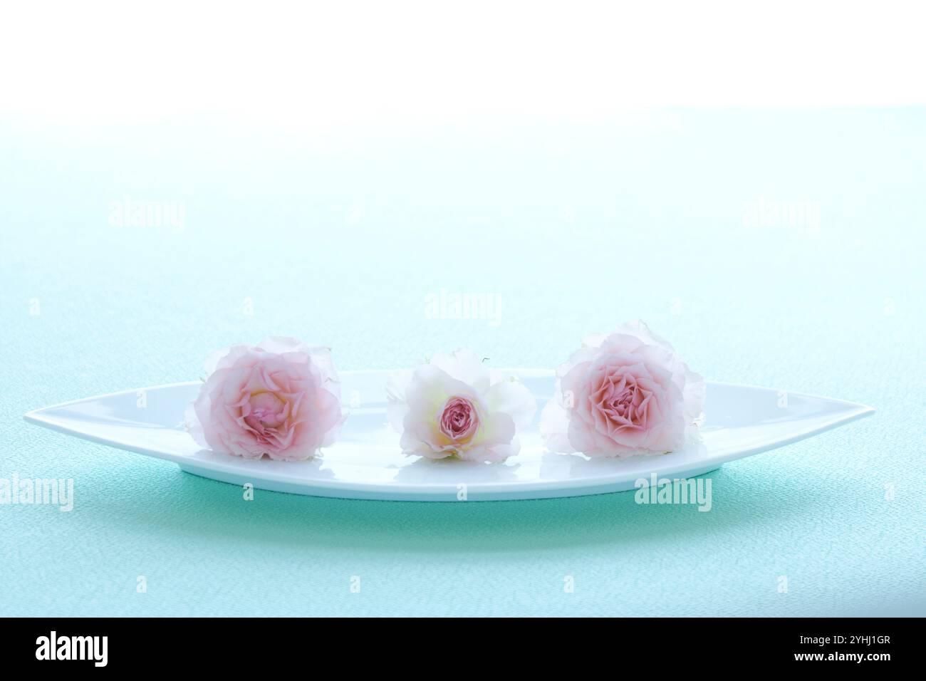 Plate with roses hi-res stock photography and images - Alamy