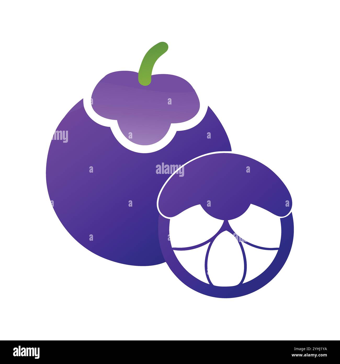 simple vector illustration of a mangosteen, in a simple and clean style ...