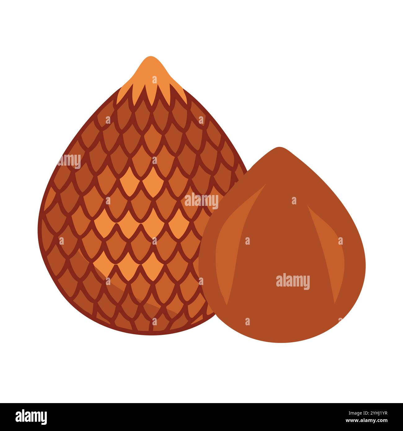 simple vector illustration of a salak snake fruit , in a simple and ...