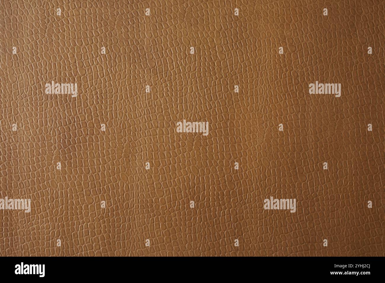 Leather material with processed moulds Stock Photo - Alamy