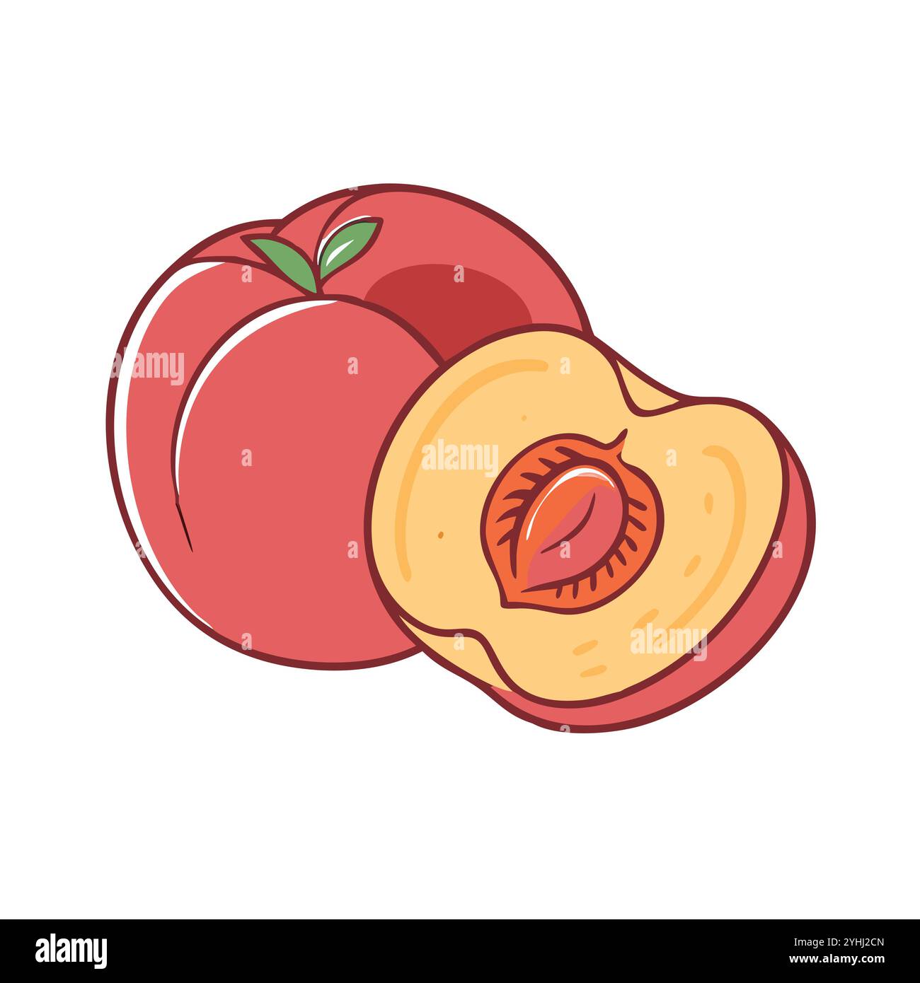simple vector illustration of a nectarine, in a simple and clean style ...