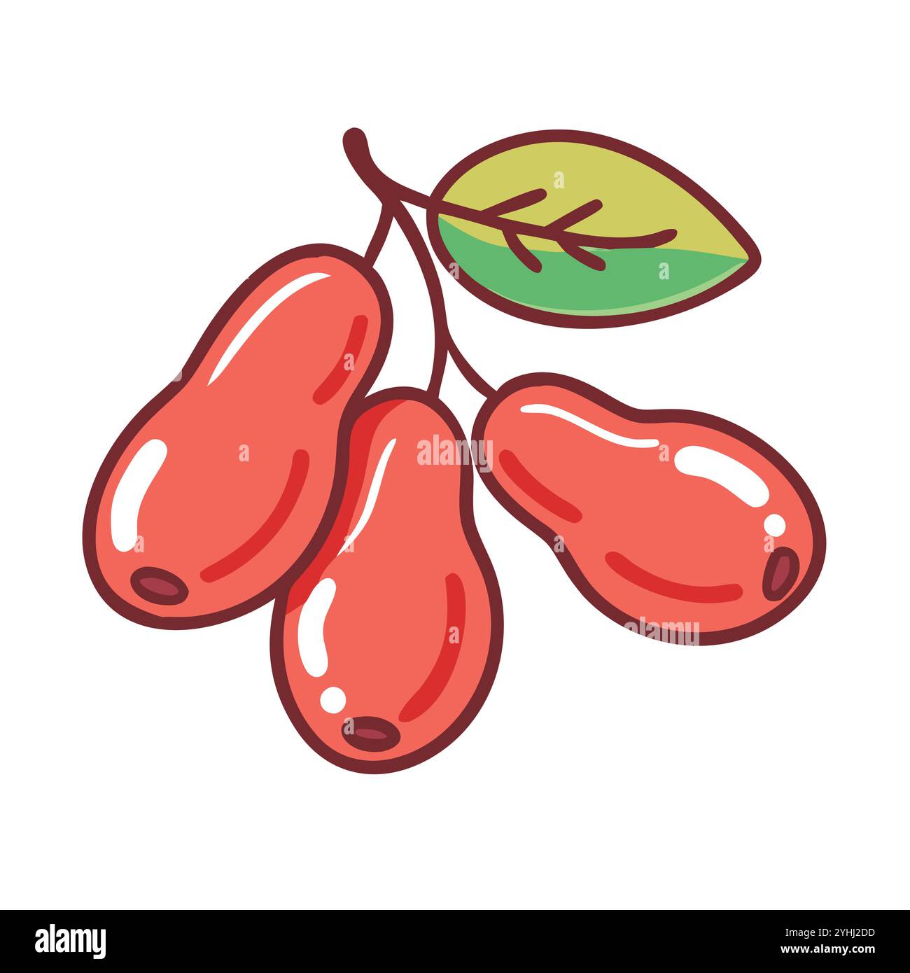 simple vector illustration of a miracle fruit, in a simple and clean ...