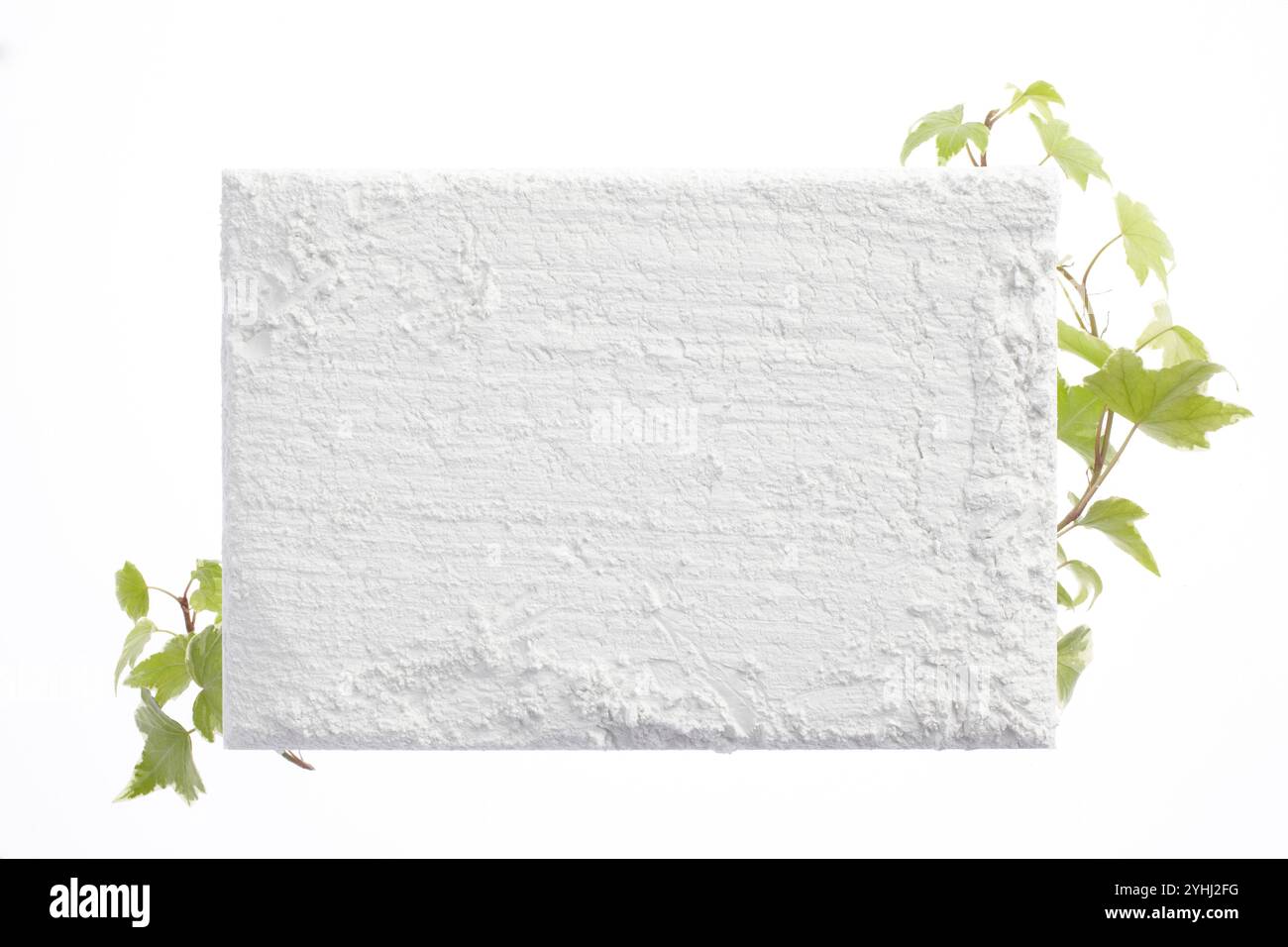 Rough white board and Ivy in horizontal position Stock Photo - Alamy