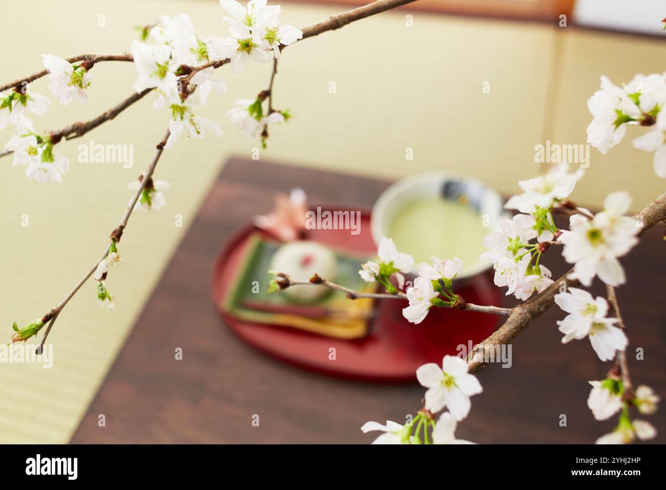 Cherry blossoms and green tea in the Japanese-style room Stock Photo ...