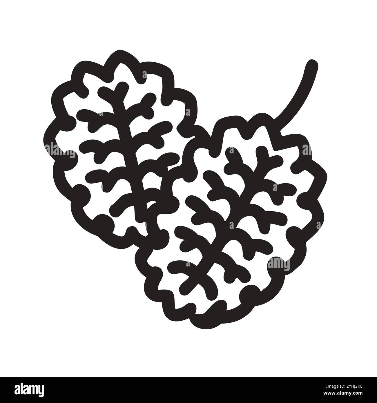simple vector illustration of a mulberry, in a simple and clean style ...