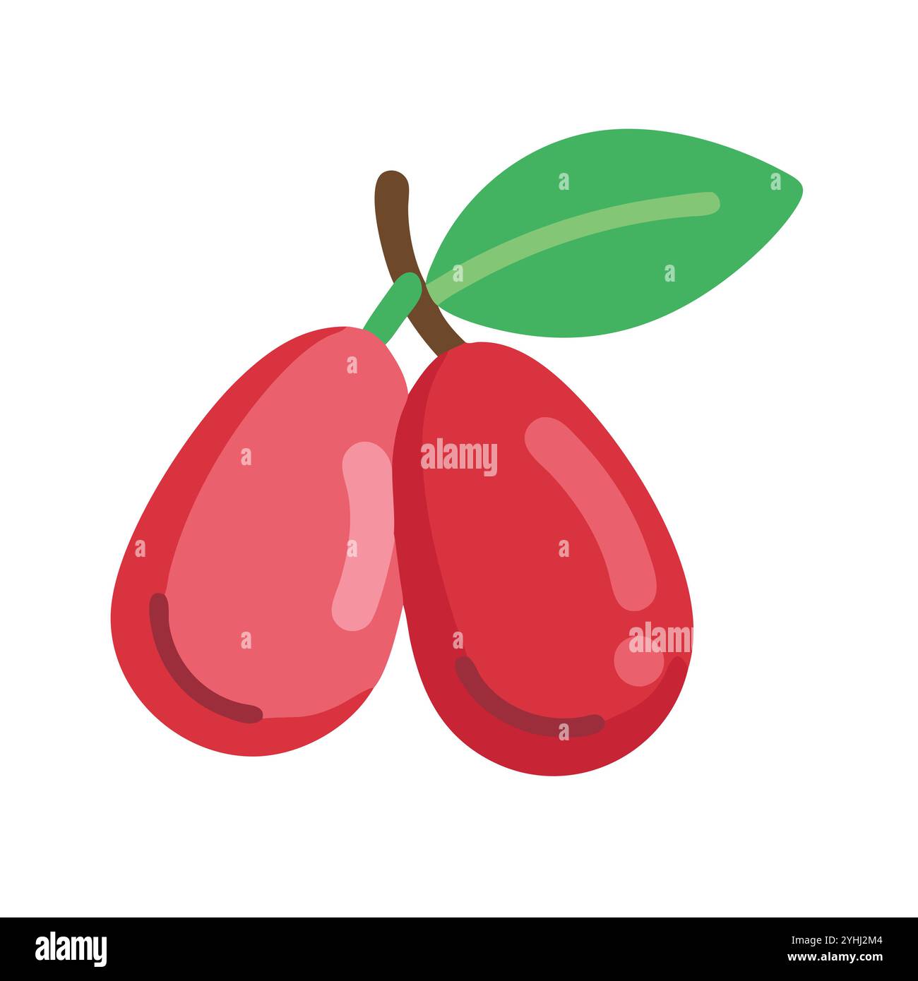 simple vector illustration of a miracle fruit, in a simple and clean ...