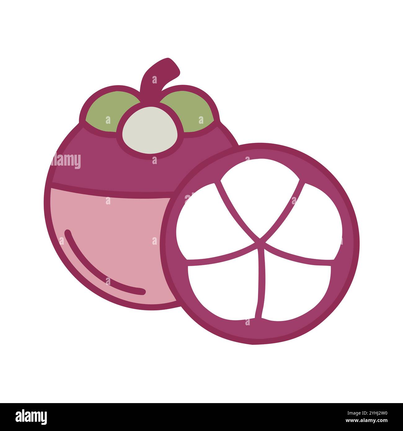 simple vector illustration of a mangosteen, in a simple and clean style ...