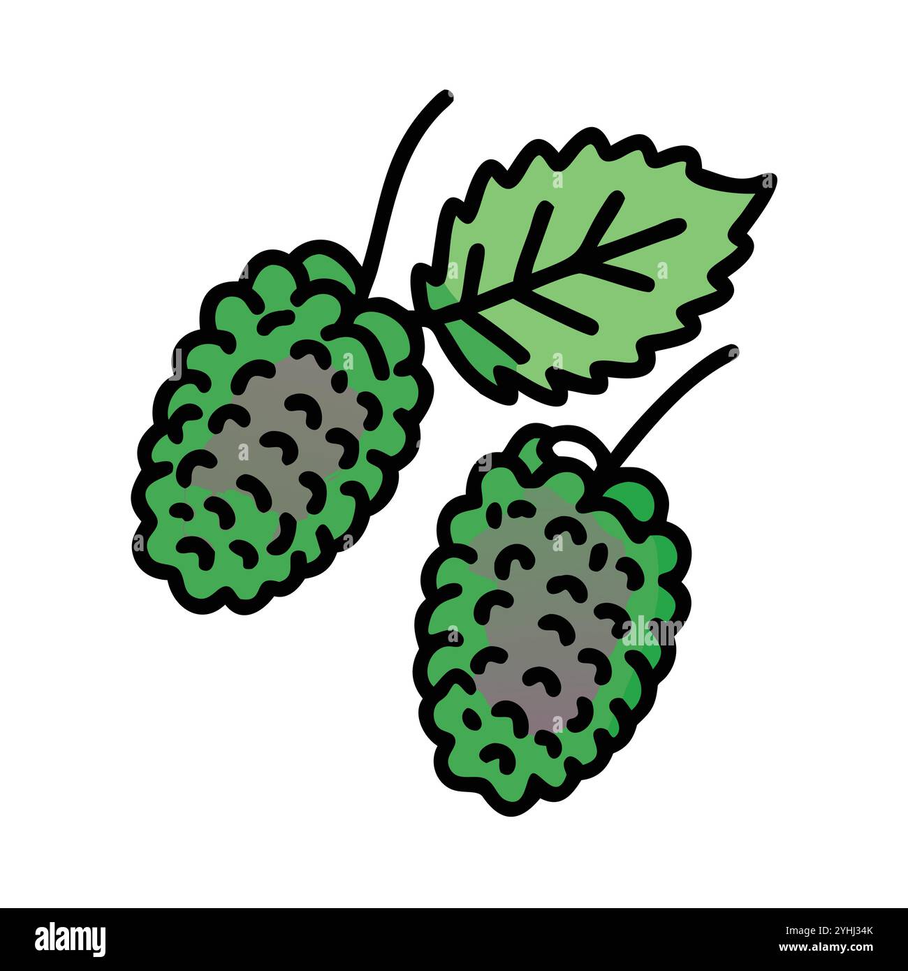 simple vector illustration of a mulberry, in a simple and clean style ...