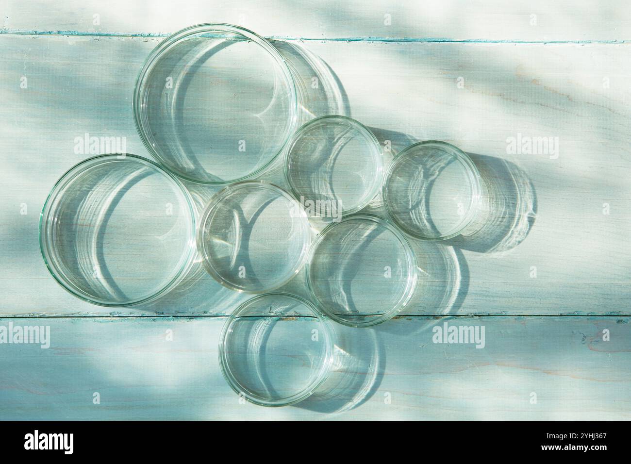 Petri dish blue background hi-res stock photography and images - Alamy