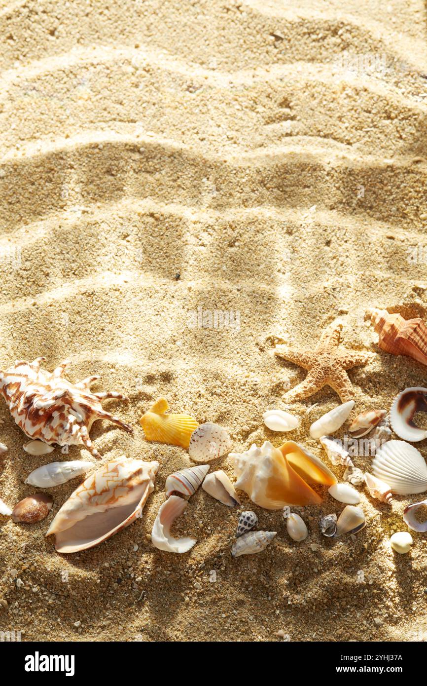 Underwater image with ripples reflected in the sea sand and shells ...