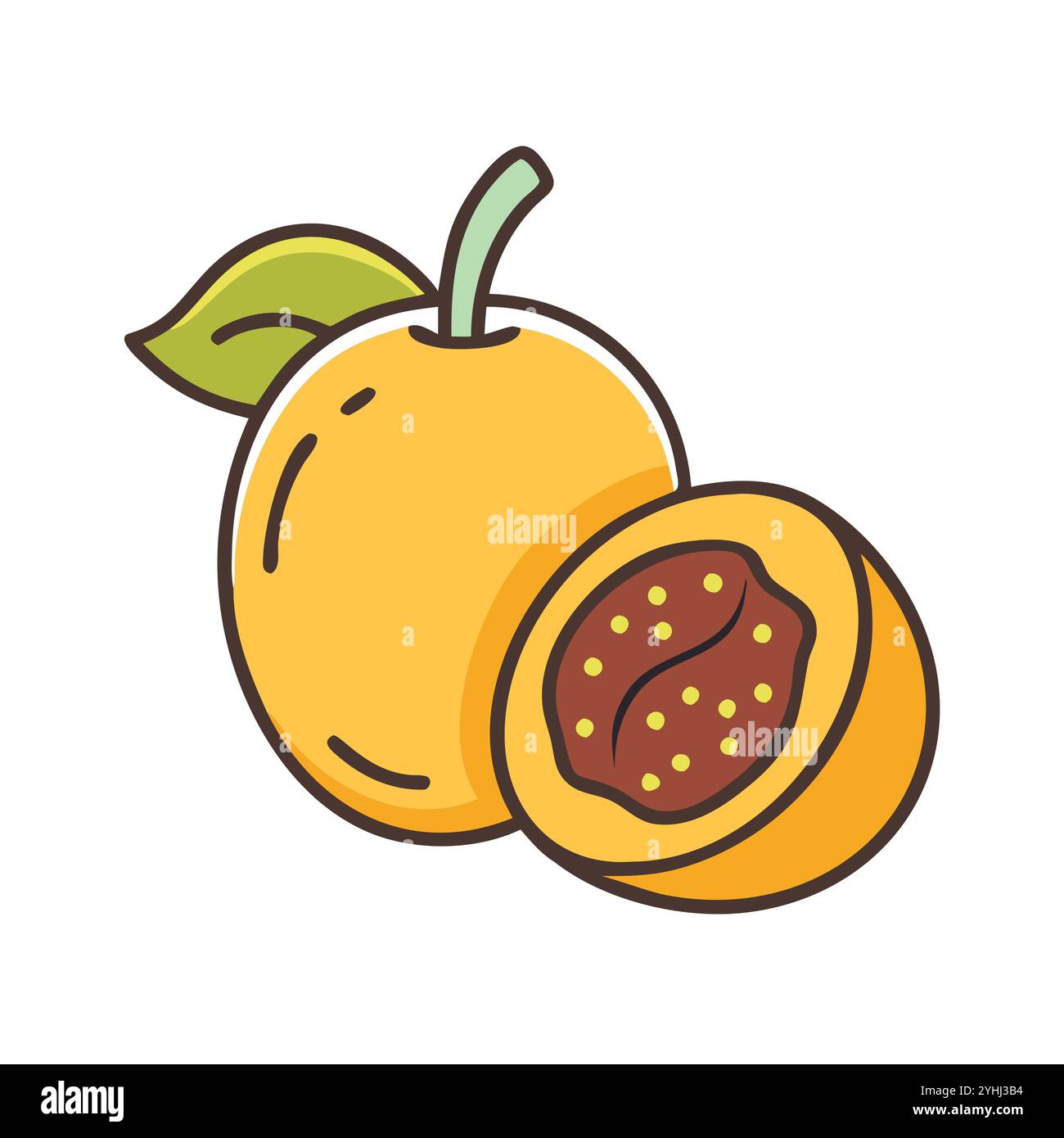 Marula vector hi-res stock photography and images - Alamy