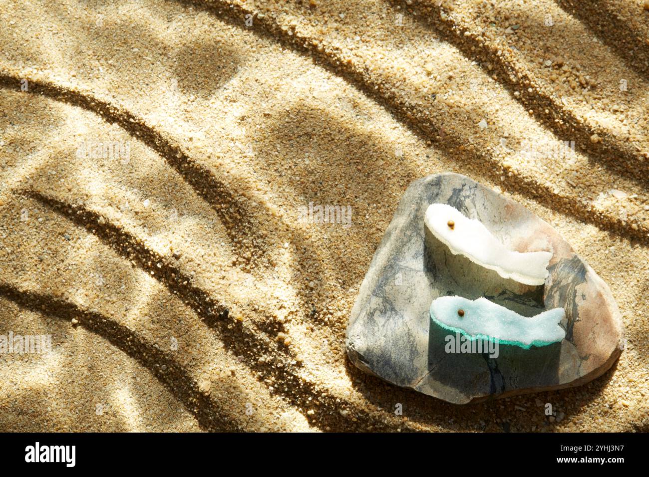 Underwater image with ripples in the sand and river fish wagashi Stock ...