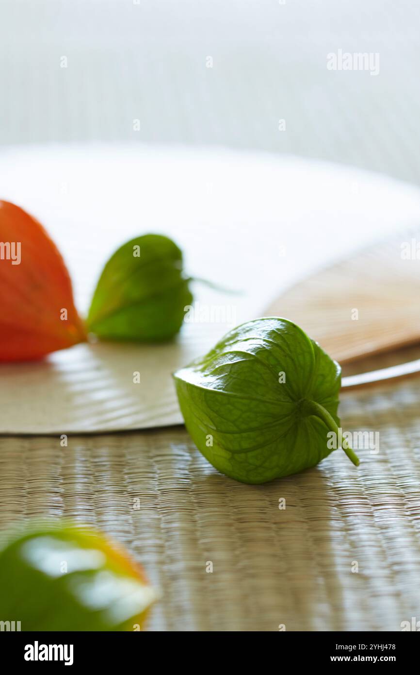 Green tatami mats hi-res stock photography and images - Alamy