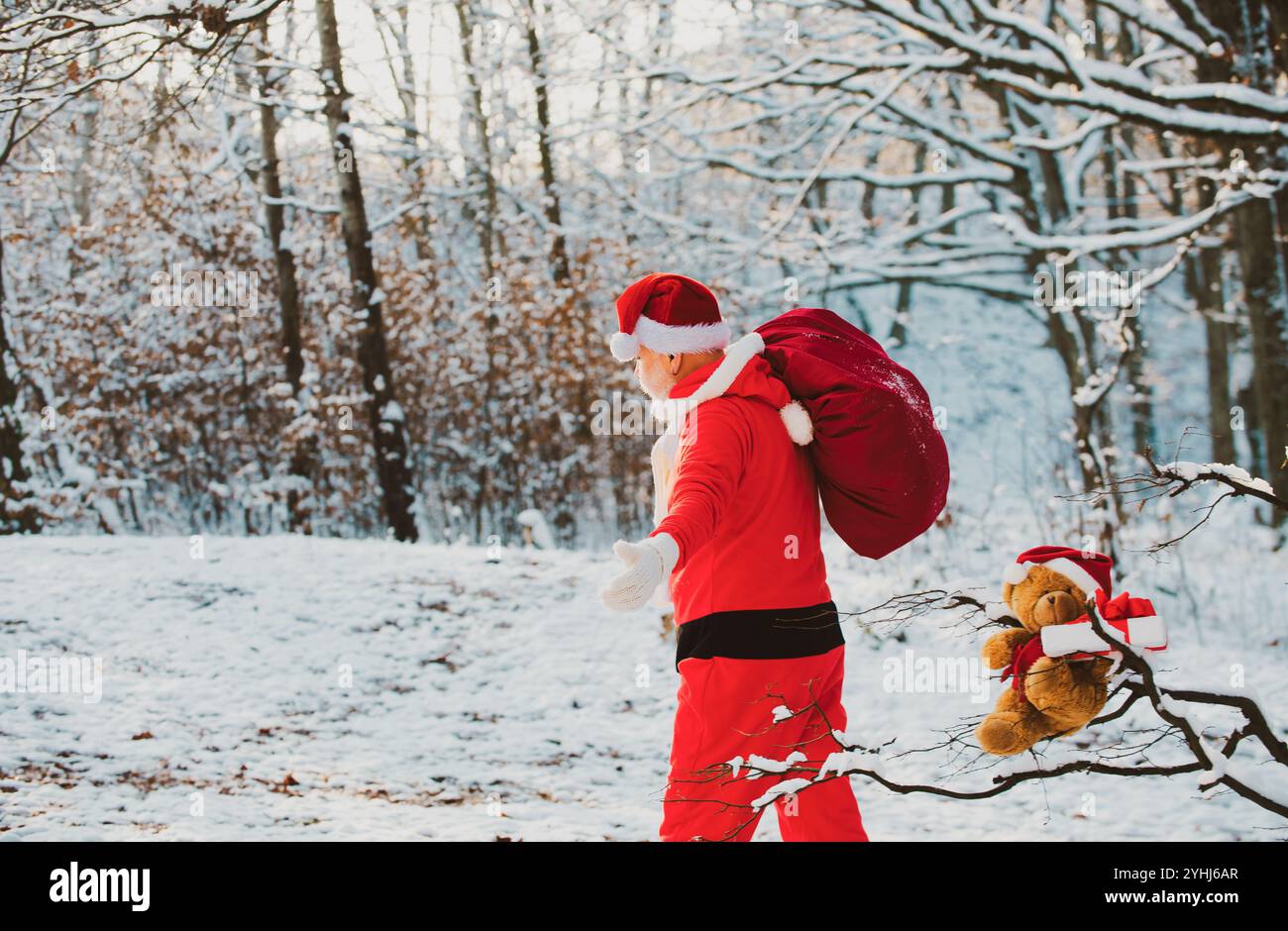 Santa magical fog walking along the field. Santa Claus with bag walking ...