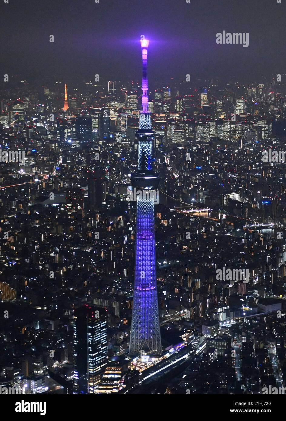 Bridges and the Tokyo SKYTREE are illuminated in purple during the ...
