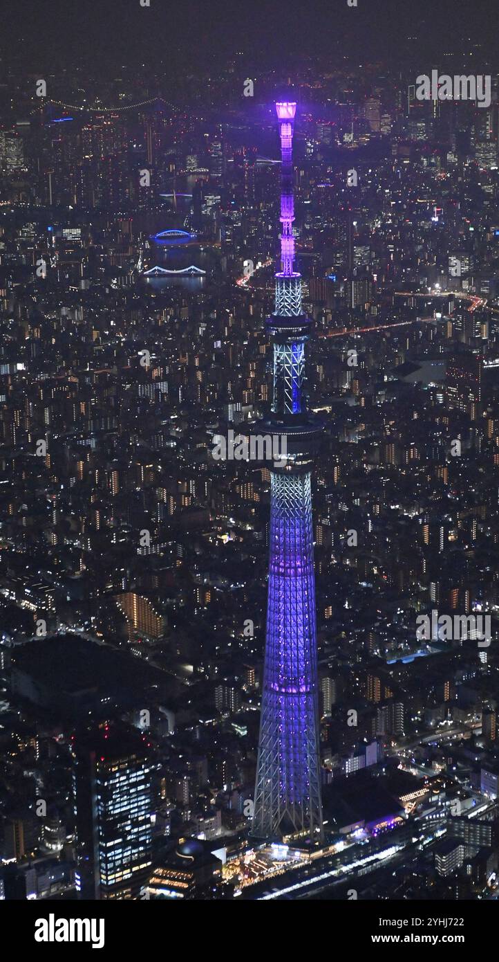 Bridges and the Tokyo SKYTREE are illuminated in purple during the ...