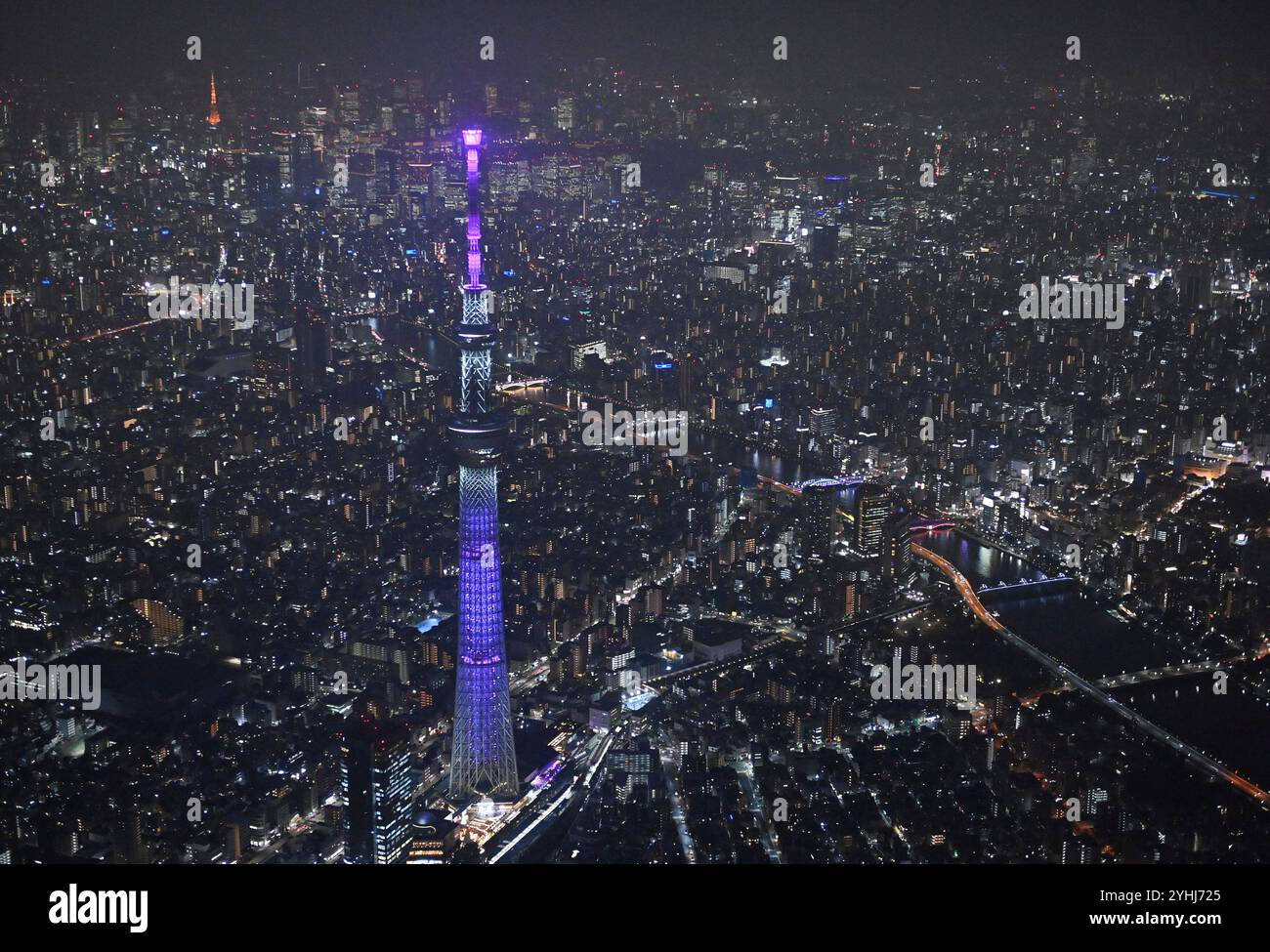 Bridges and the Tokyo SKYTREE are illuminated in purple during the ...