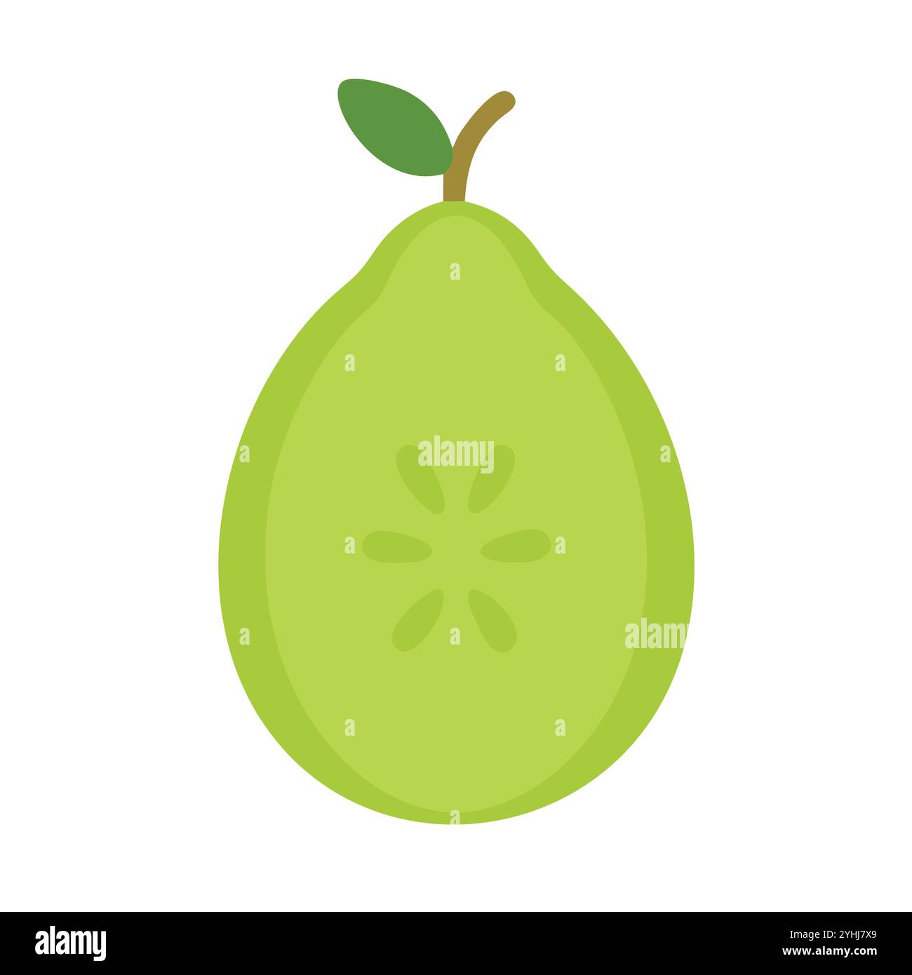 simple vector illustration of a pomelo, in a simple and clean style ...