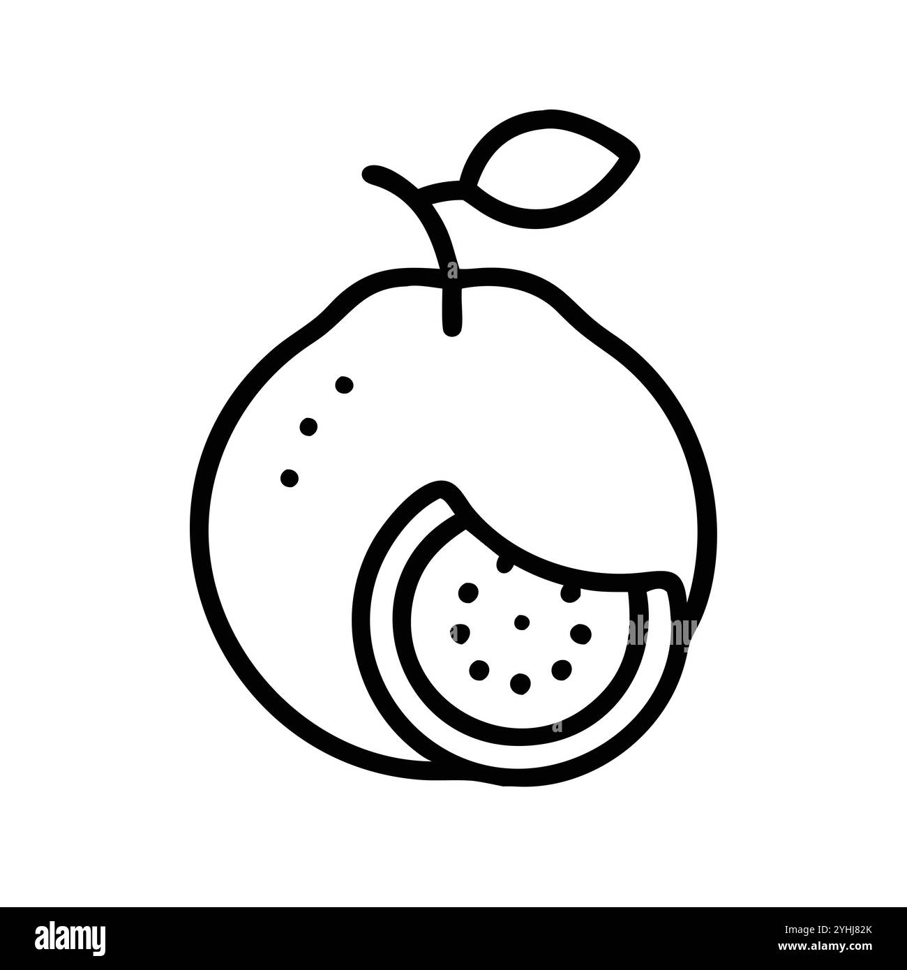 simple vector illustration of a pomelo, in a simple and clean style ...