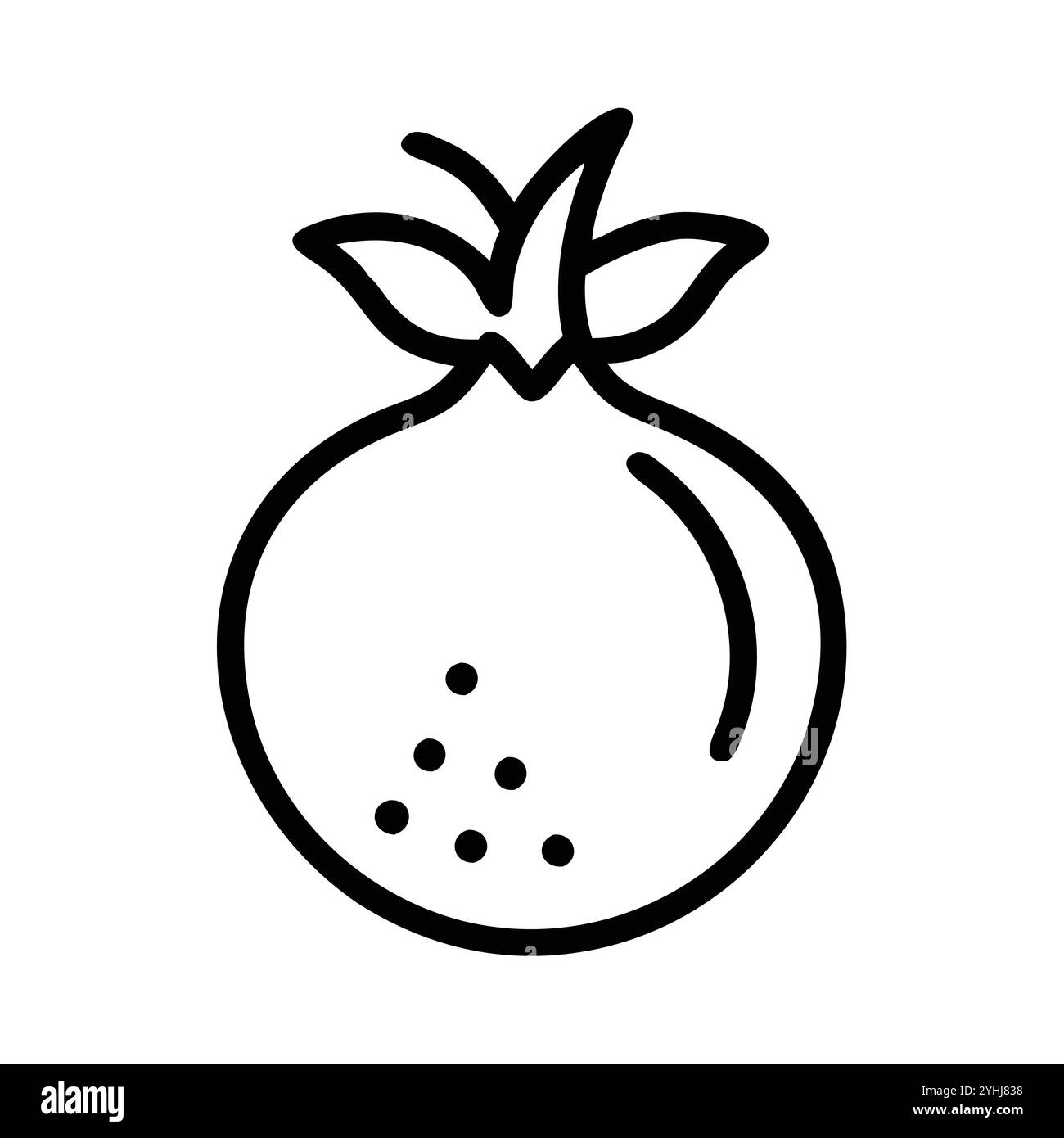simple vector illustration of a pomegranate, in a simple and clean ...