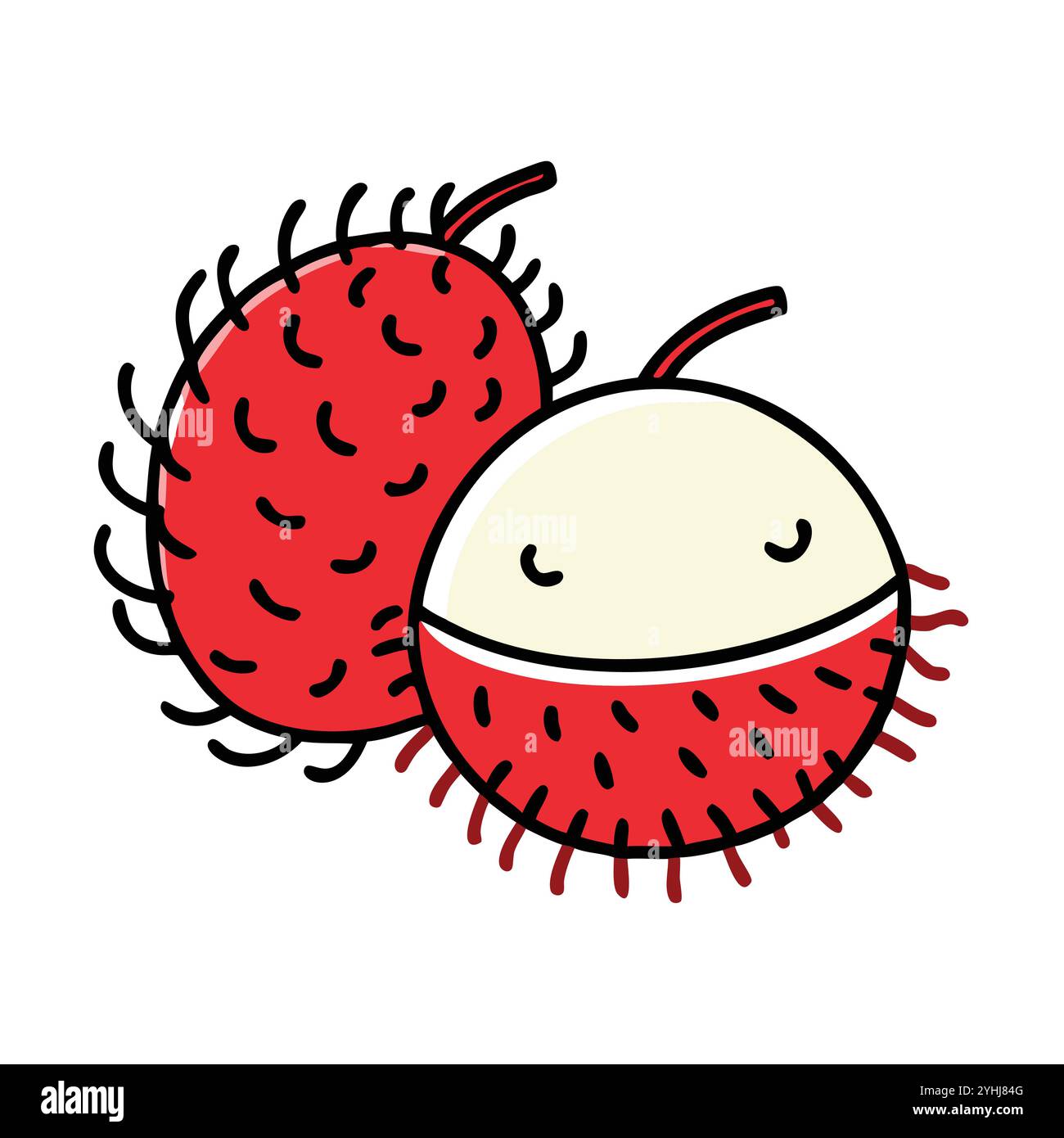 simple vector illustration of a rambutan, in a simple and clean style ...