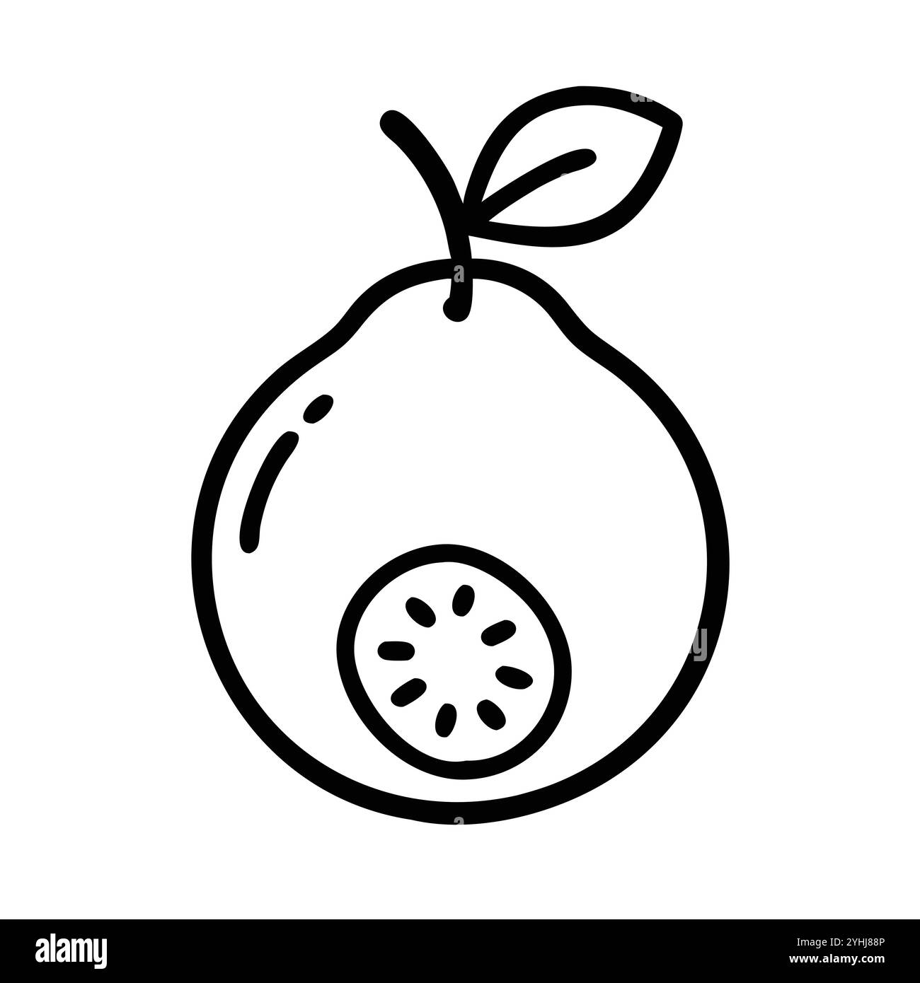 simple vector illustration of a pomelo, in a simple and clean style ...