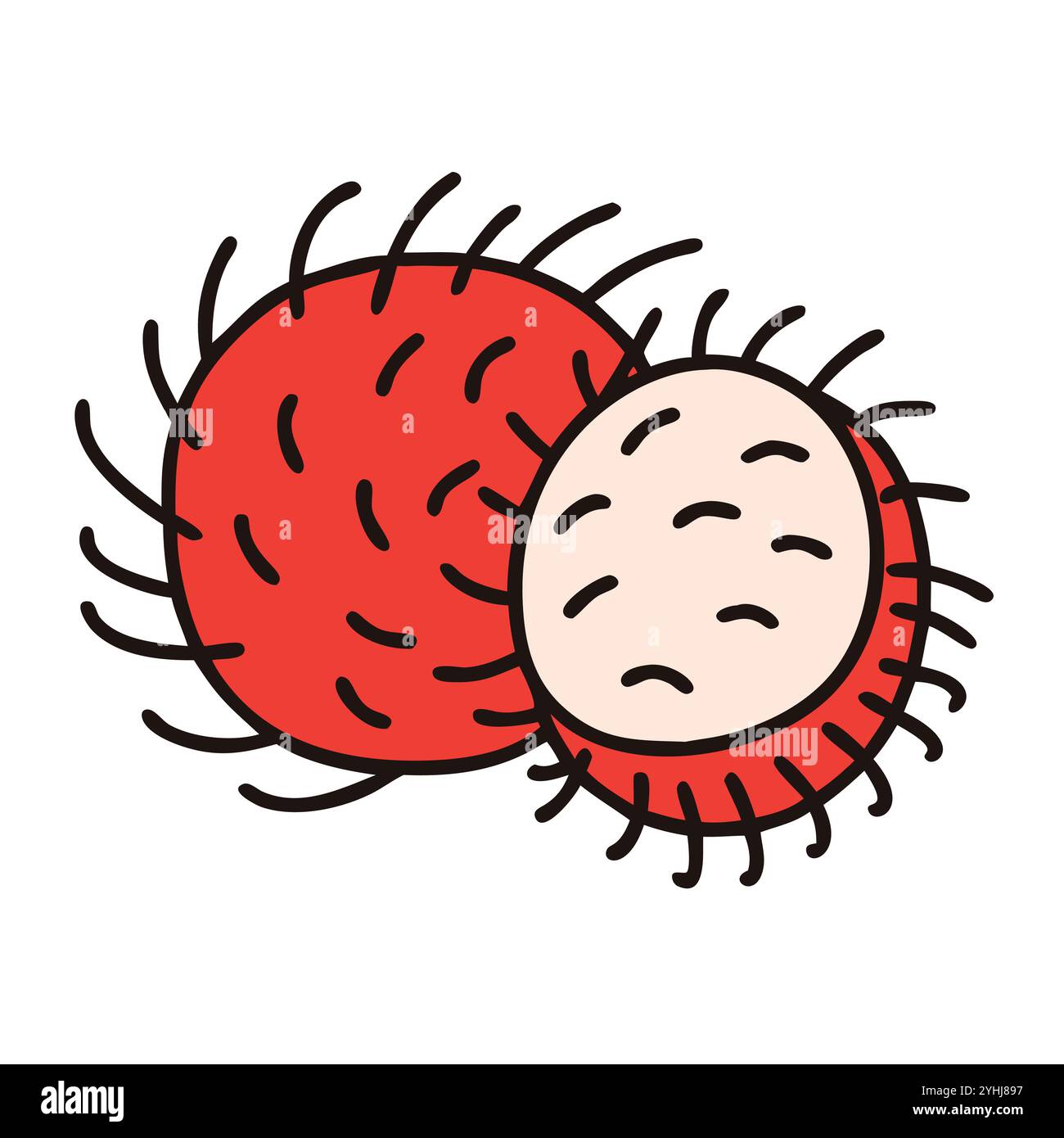simple vector illustration of a rambutan, in a simple and clean style ...