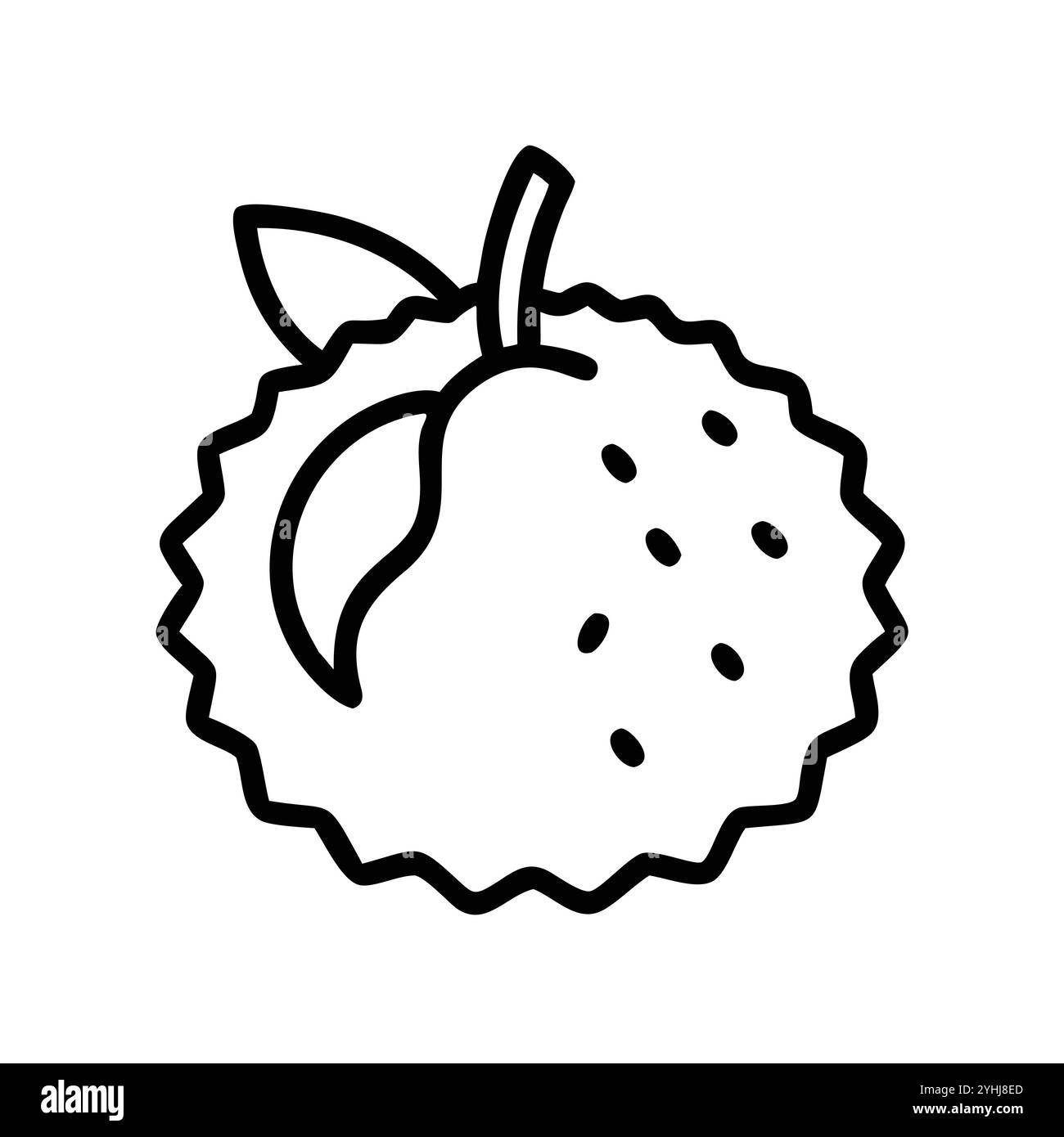 simple vector illustration of a rambutan, in a simple and clean style ...