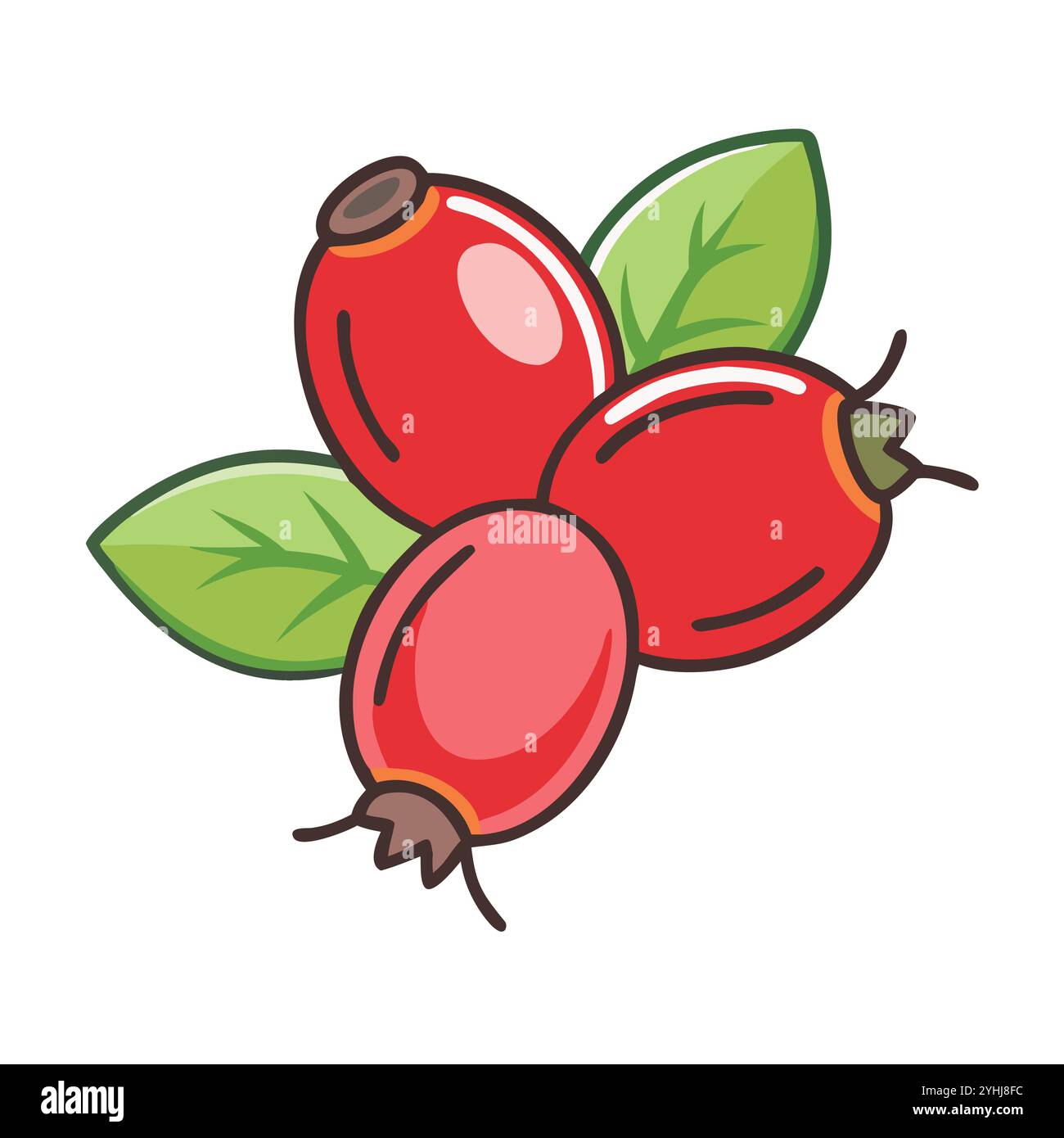 simple vector illustration of a rosehip, in a simple and clean style ...