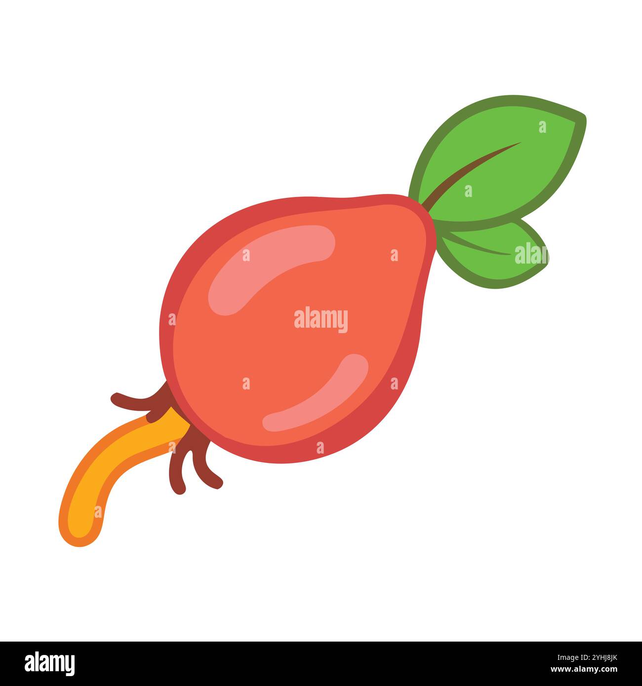 simple vector illustration of a rosehip, in a simple and clean style ...