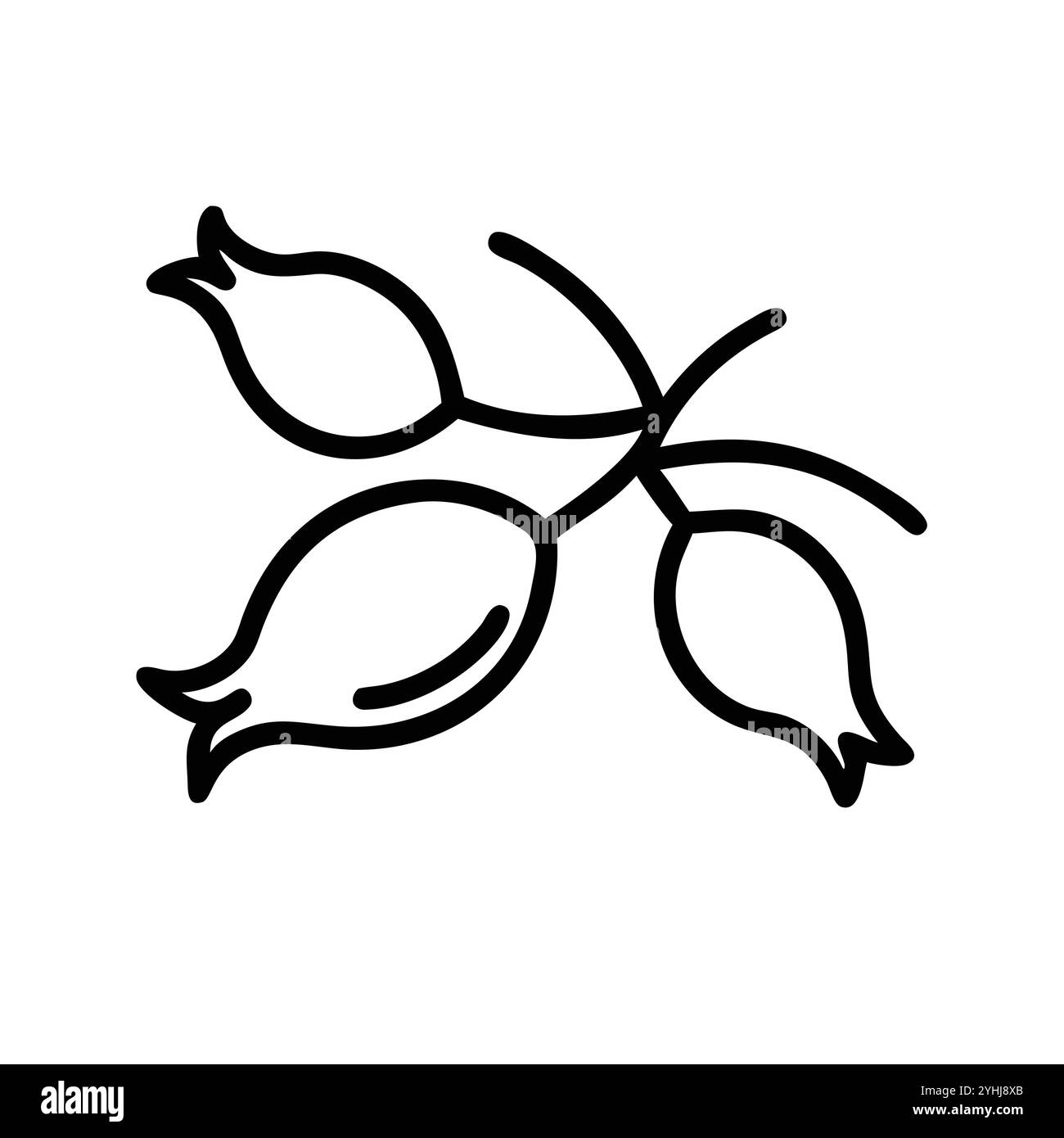 simple vector illustration of a rosehip, in a simple and clean style ...