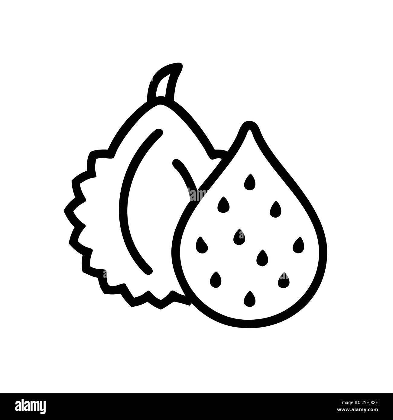 simple vector illustration of a salak snake fruit , in a simple and ...