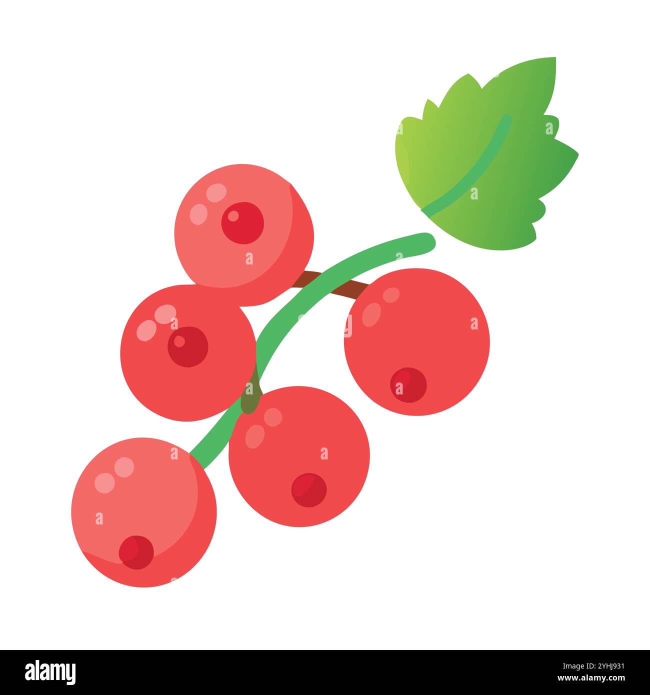 simple vector illustration of a redcurrant, in a simple and clean style ...