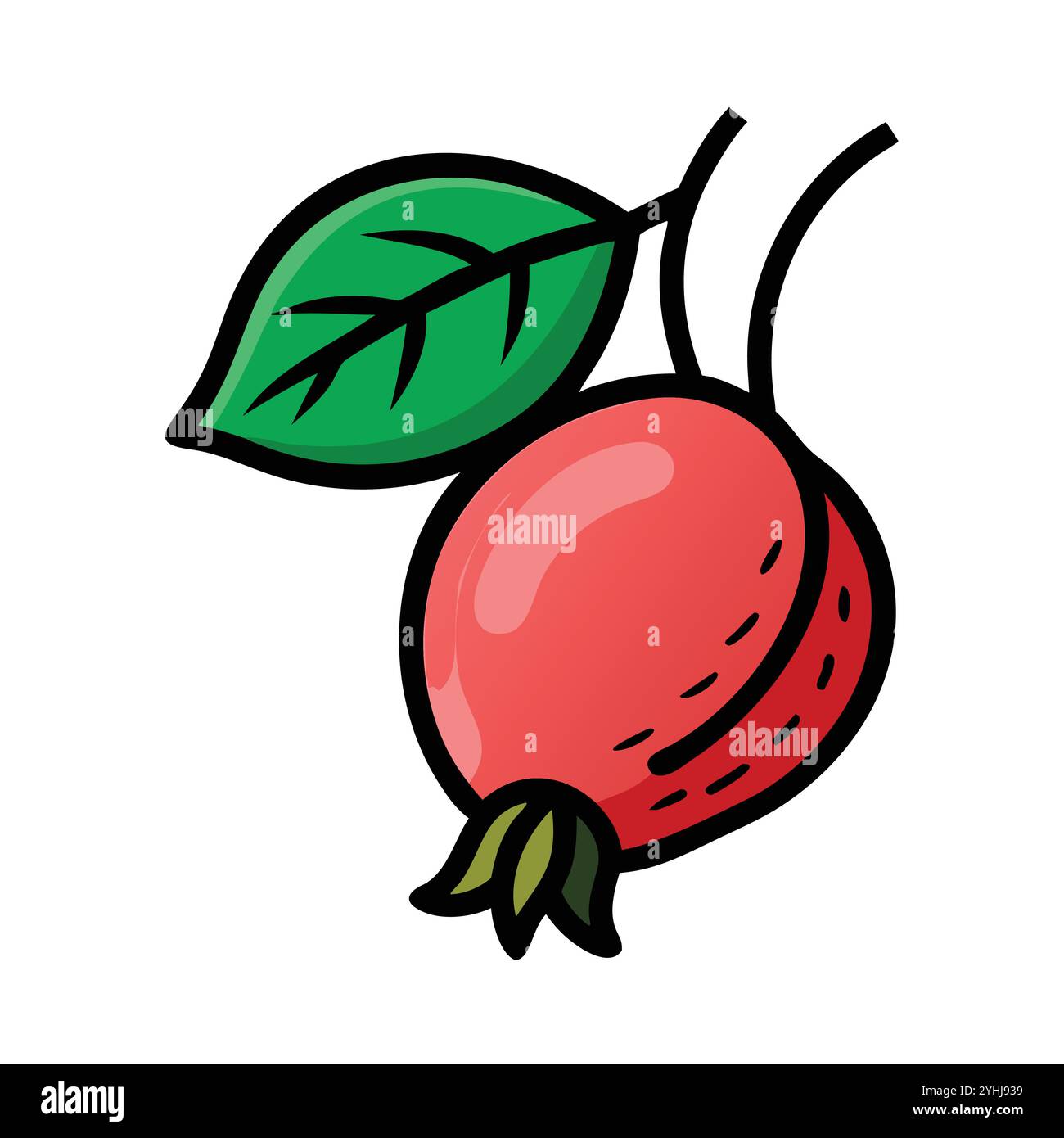 simple vector illustration of a rosehip, in a simple and clean style ...