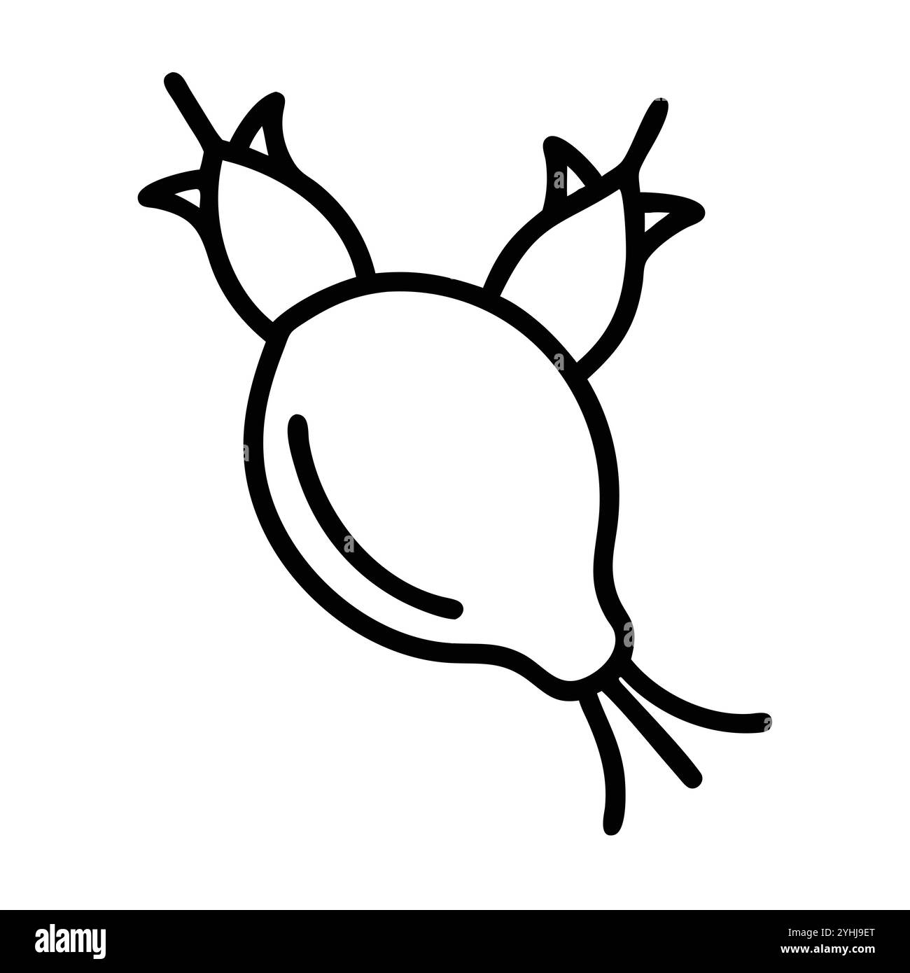 simple vector illustration of a rosehip, in a simple and clean style ...