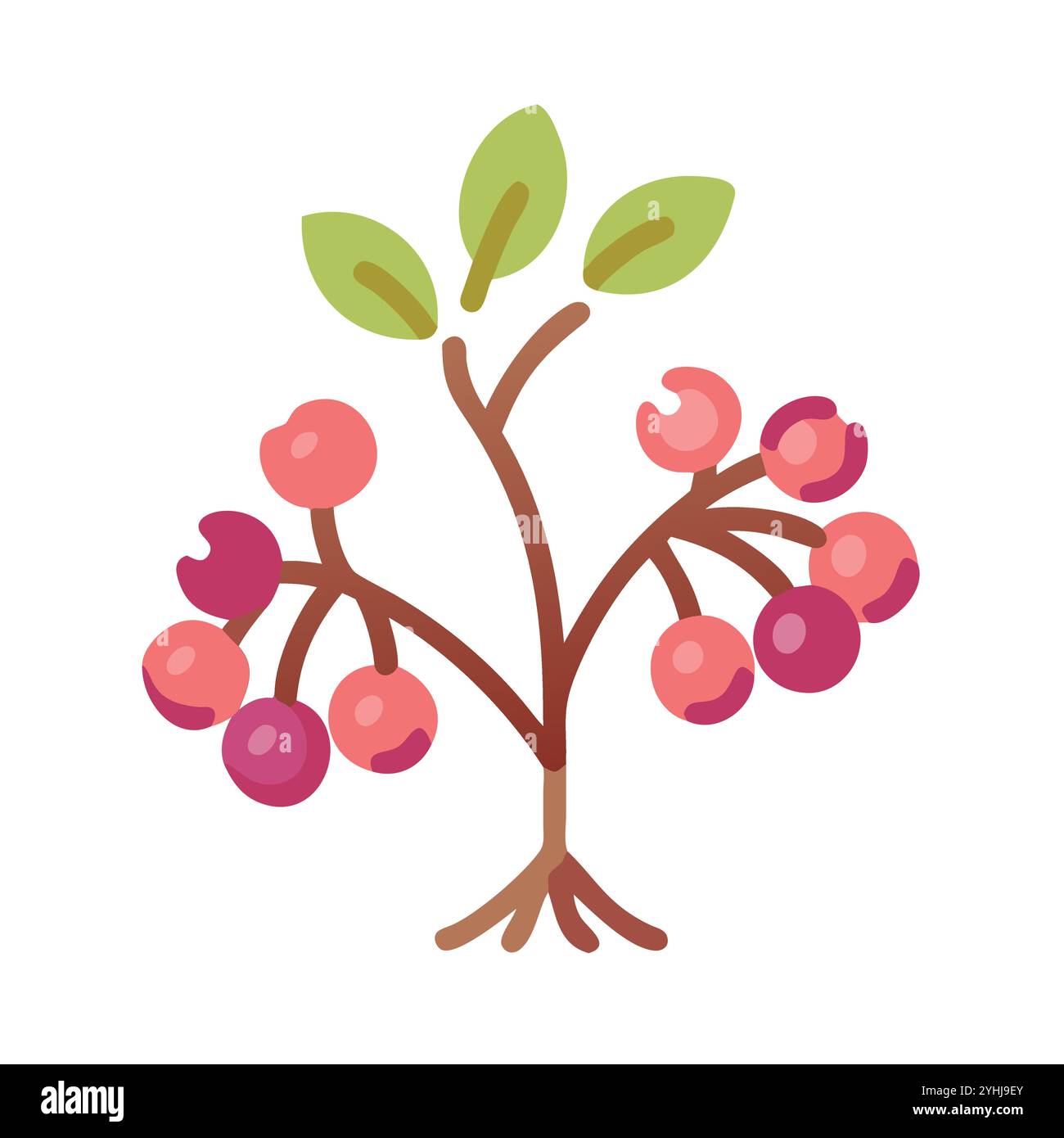 simple vector illustration of a serviceberry, in a simple and clean ...