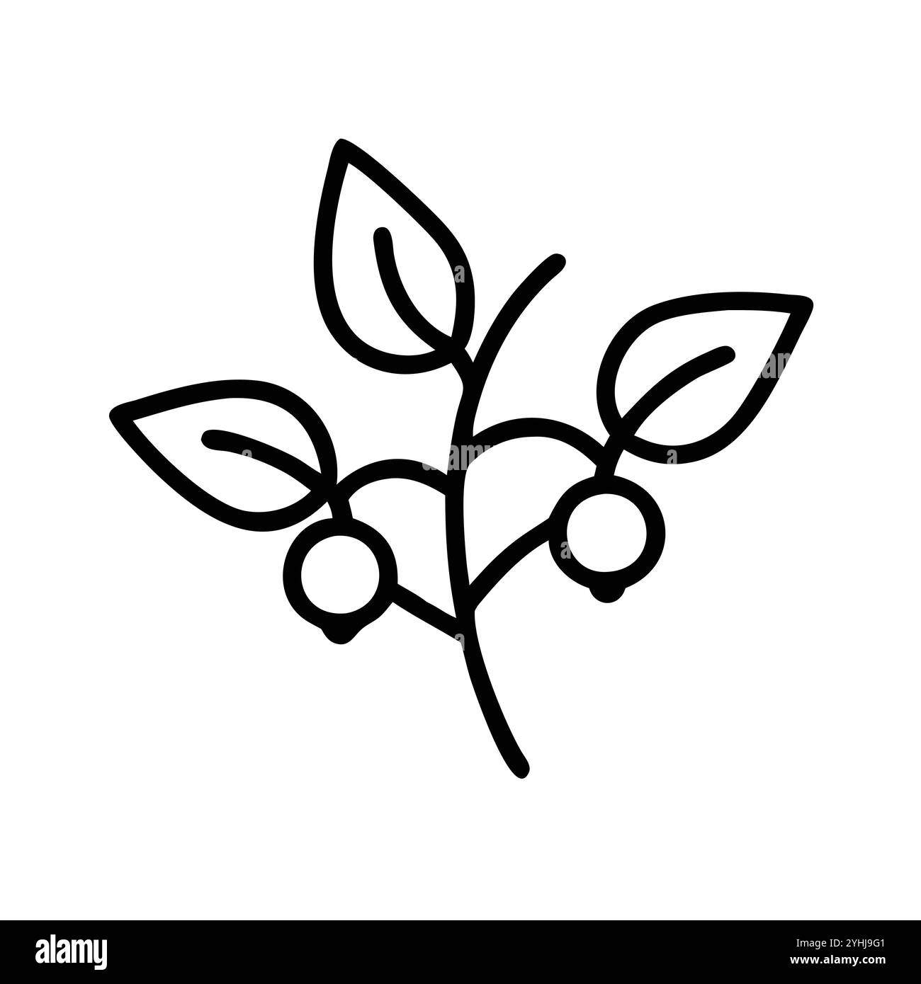 Serviceberry icon Black and White Stock Photos & Images - Alamy