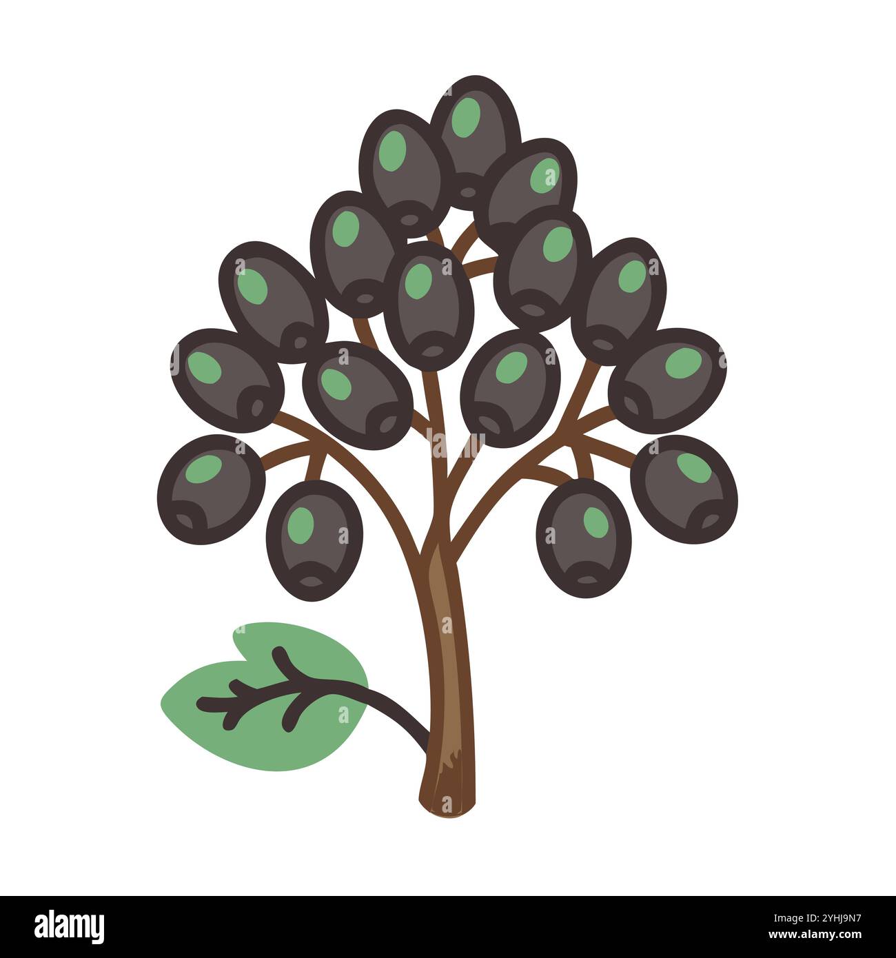 simple vector illustration of a serviceberry, in a simple and clean ...