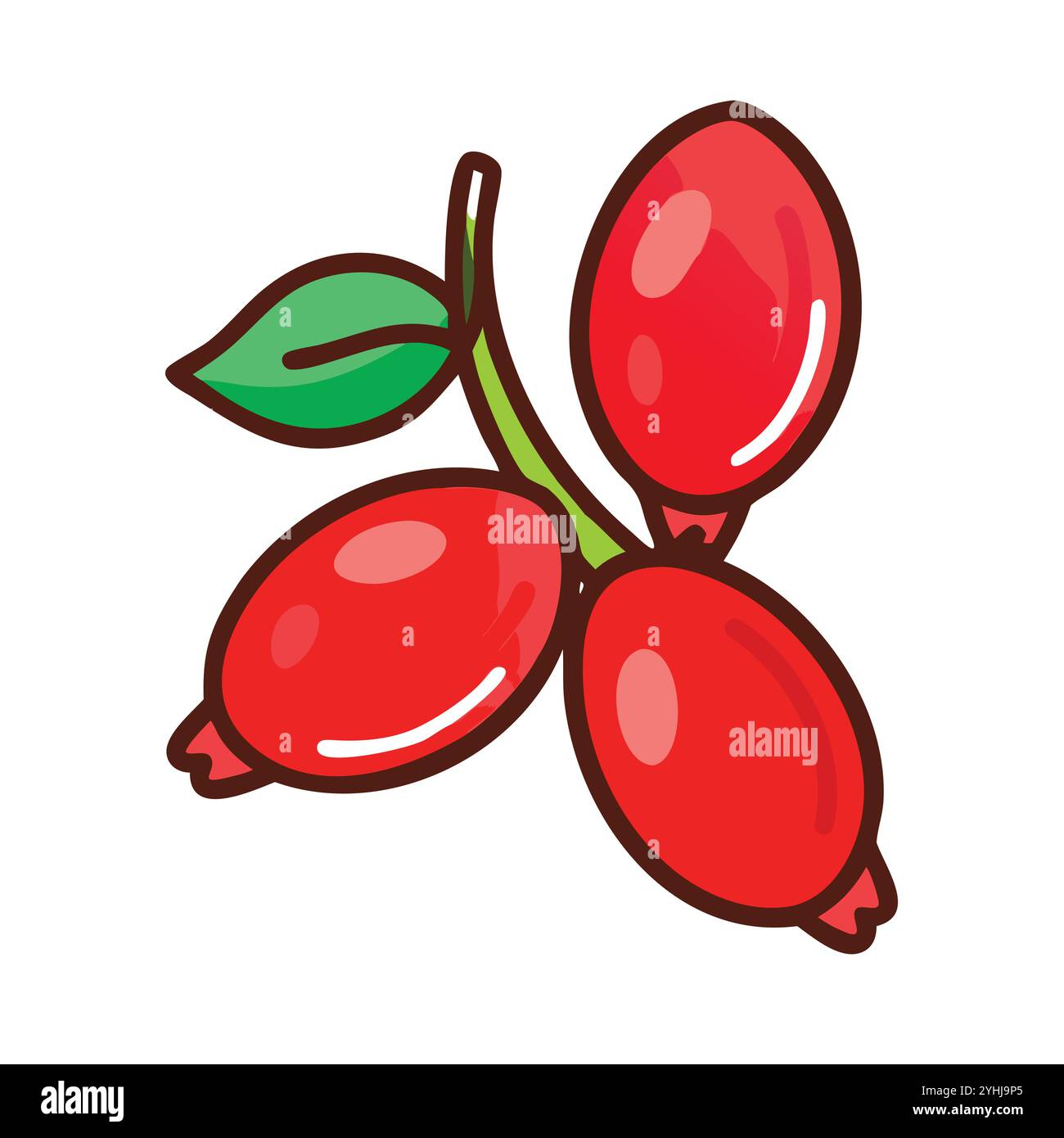 simple vector illustration of a rosehip, in a simple and clean style ...