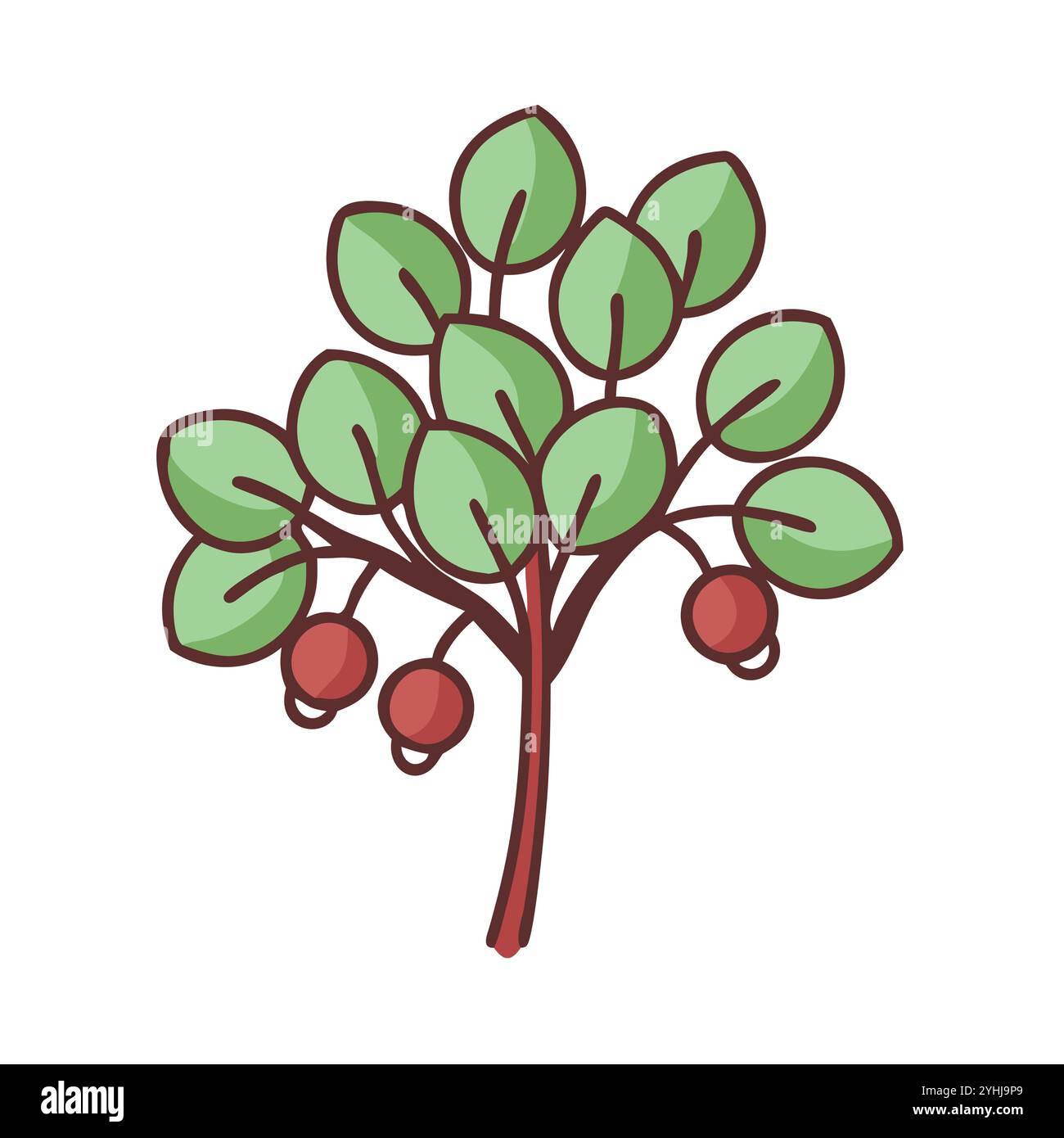 simple vector illustration of a serviceberry, in a simple and clean ...