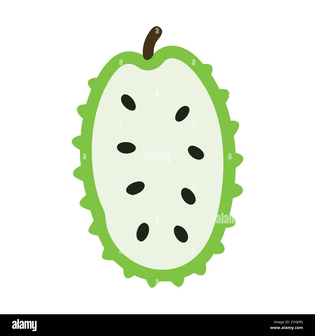 Soursop vector hi-res stock photography and images - Alamy