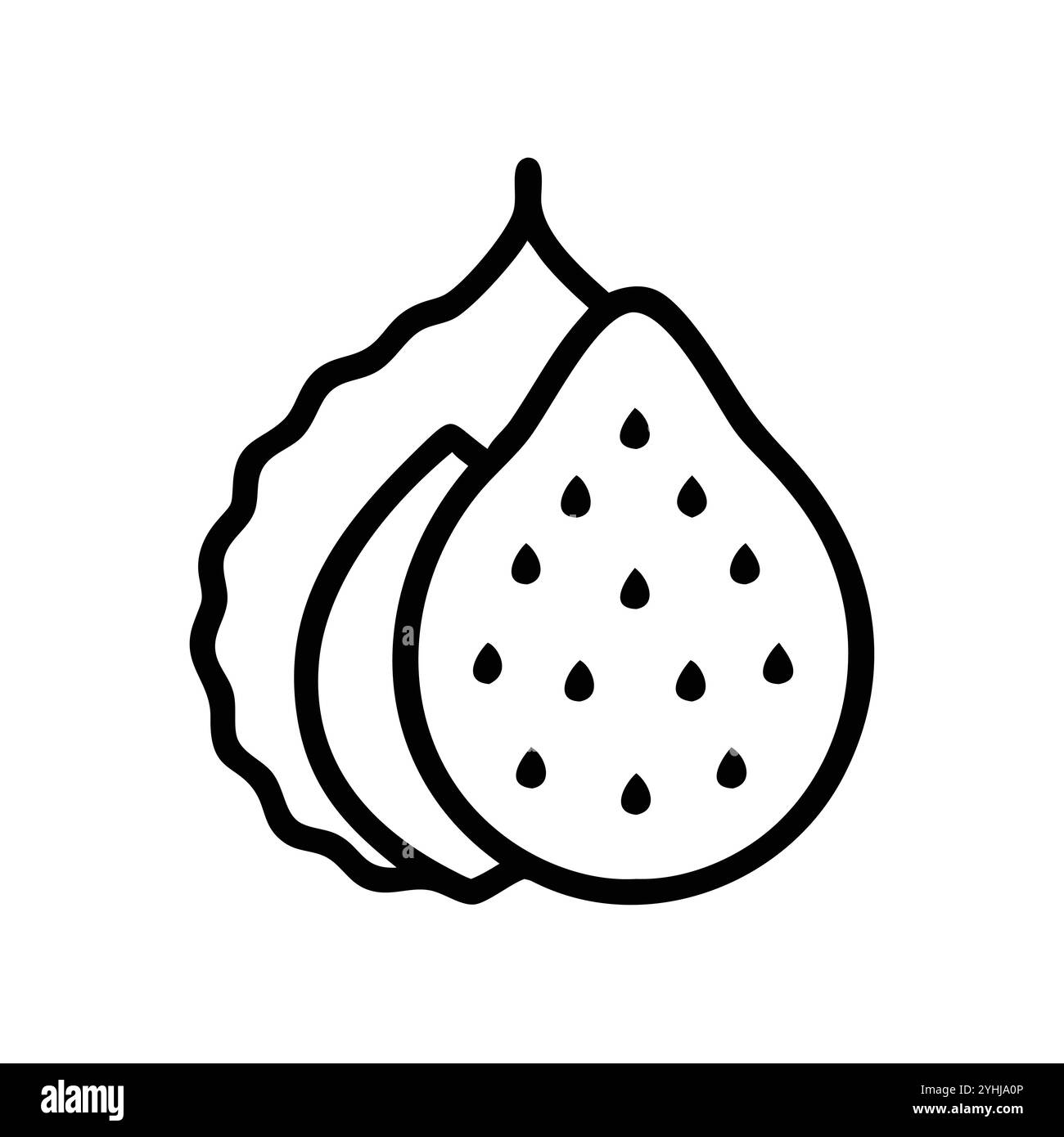 simple vector illustration of a salak snake fruit , in a simple and ...