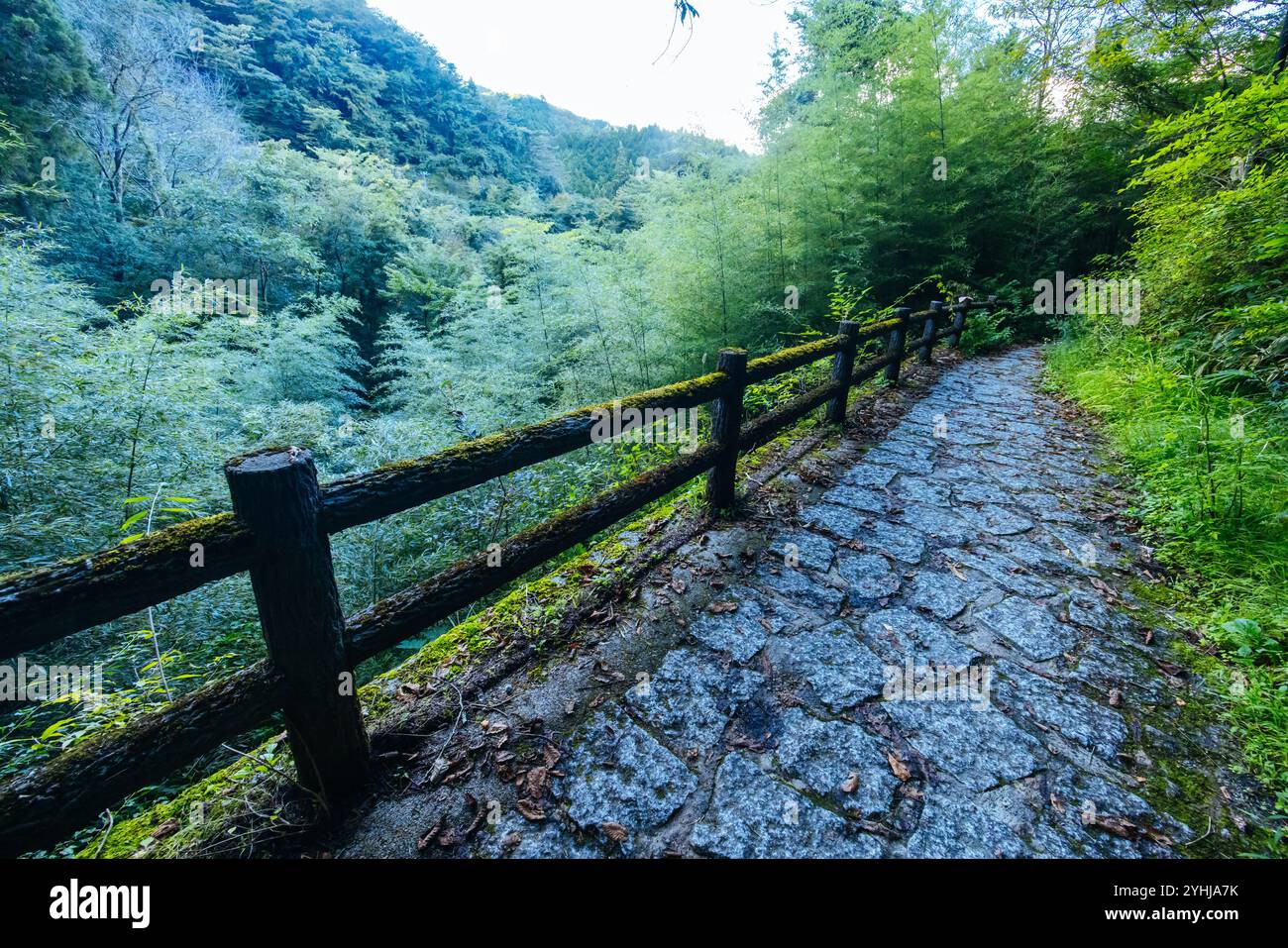 Samurai trail hi-res stock photography and images - Alamy