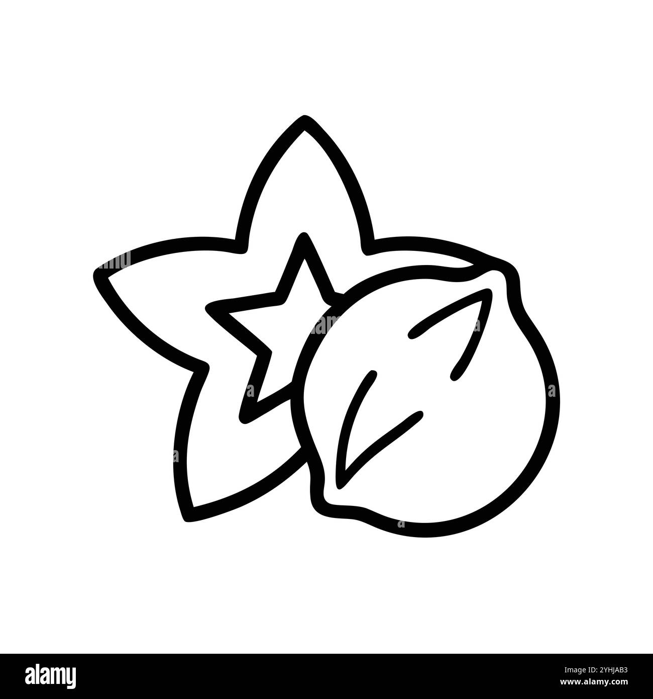 simple vector illustration of a starfruit carambola , in a simple and ...