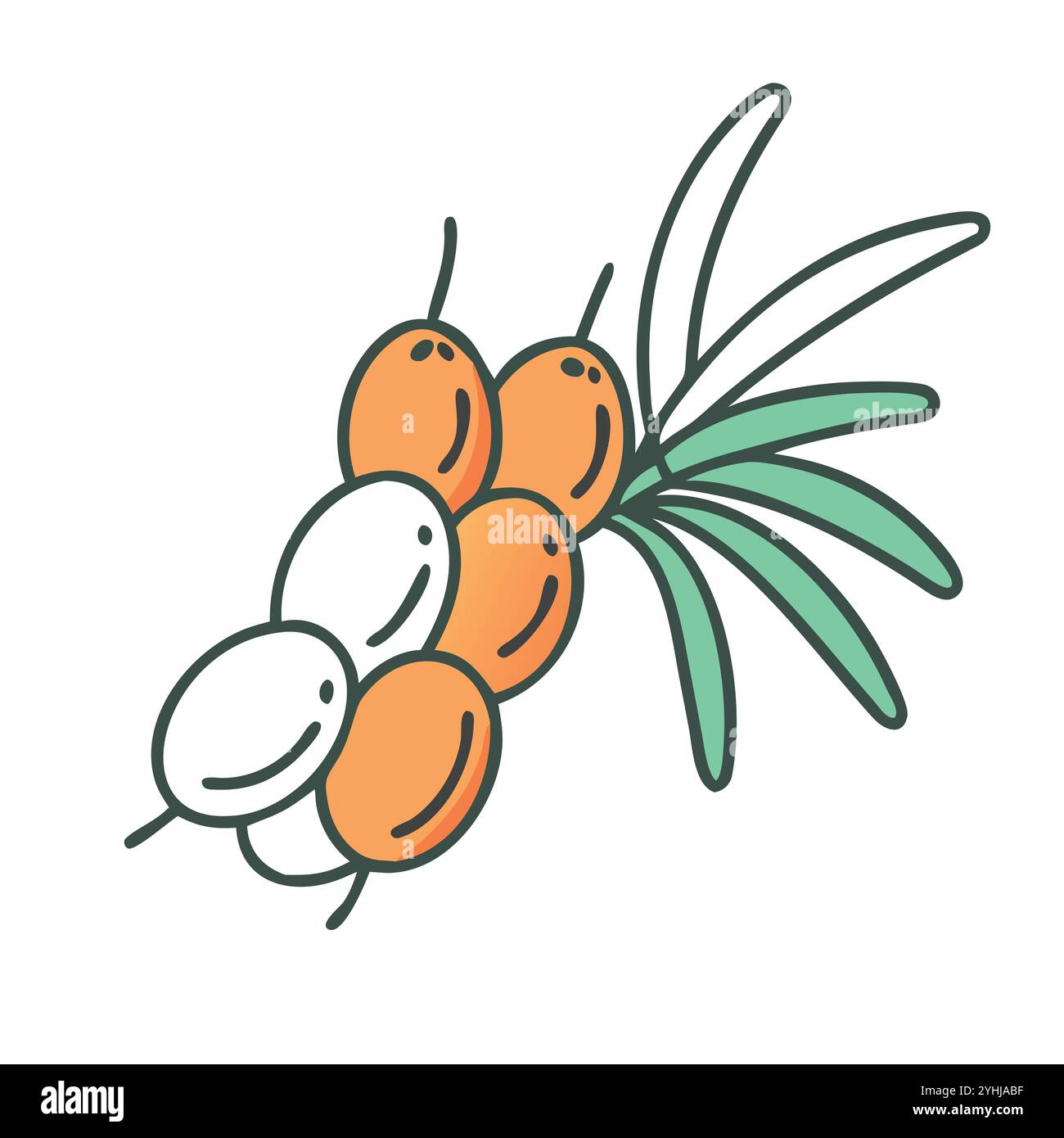 Fruits sea Stock Vector Images - Alamy