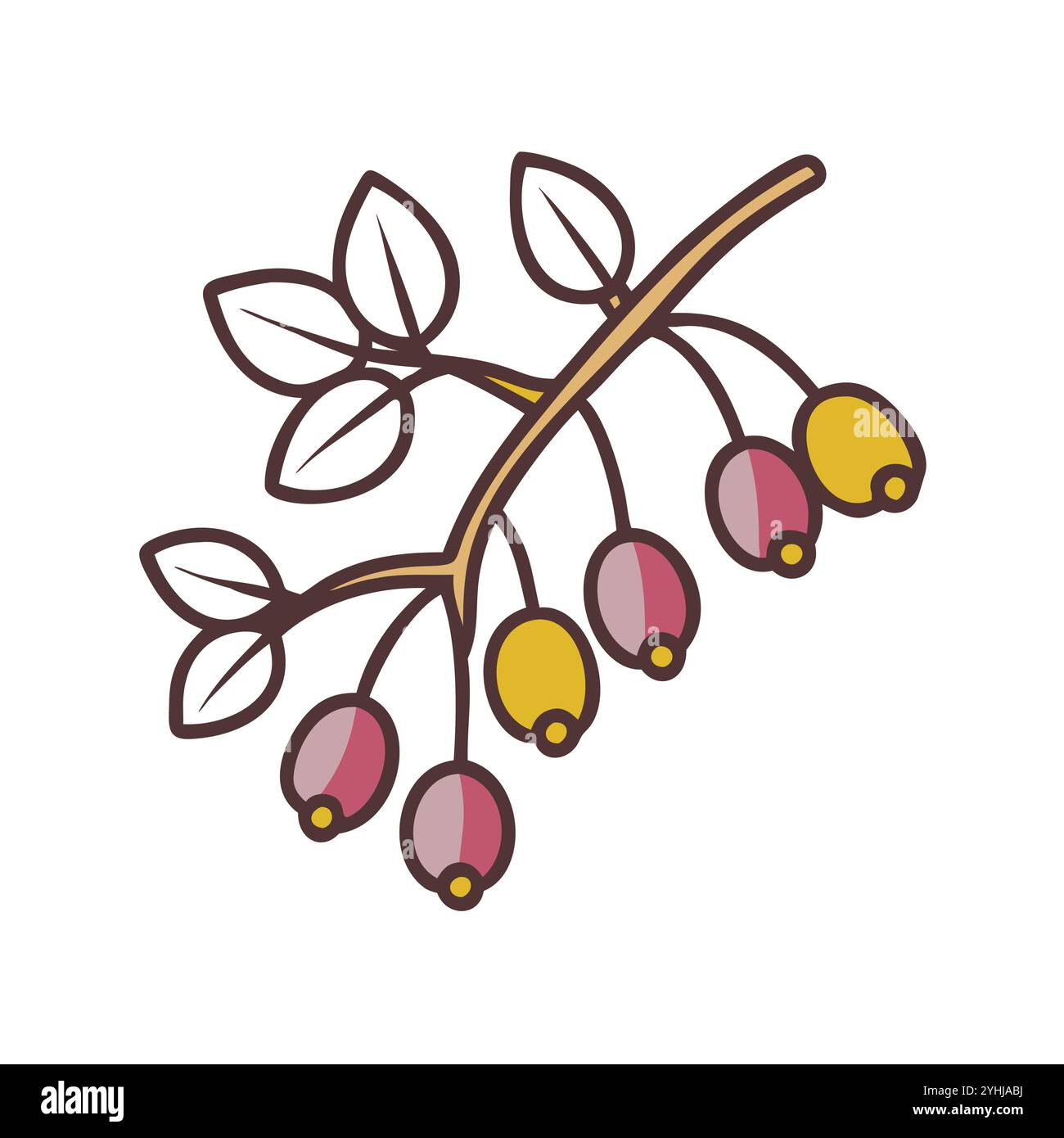 simple vector illustration of a serviceberry, in a simple and clean ...